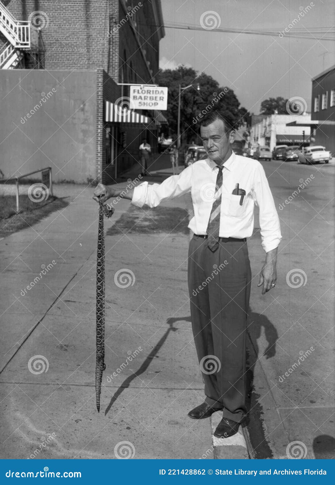 Man Holding Up A Dead Rattlesnake - Tallahassee Picture. Image: 221428862