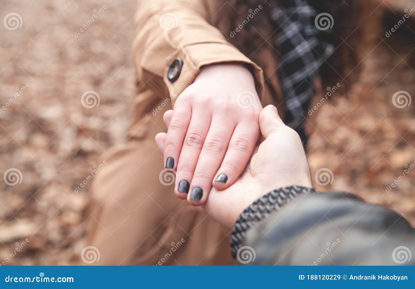 Man holding of woman hand stock image. Image of female - 188120229