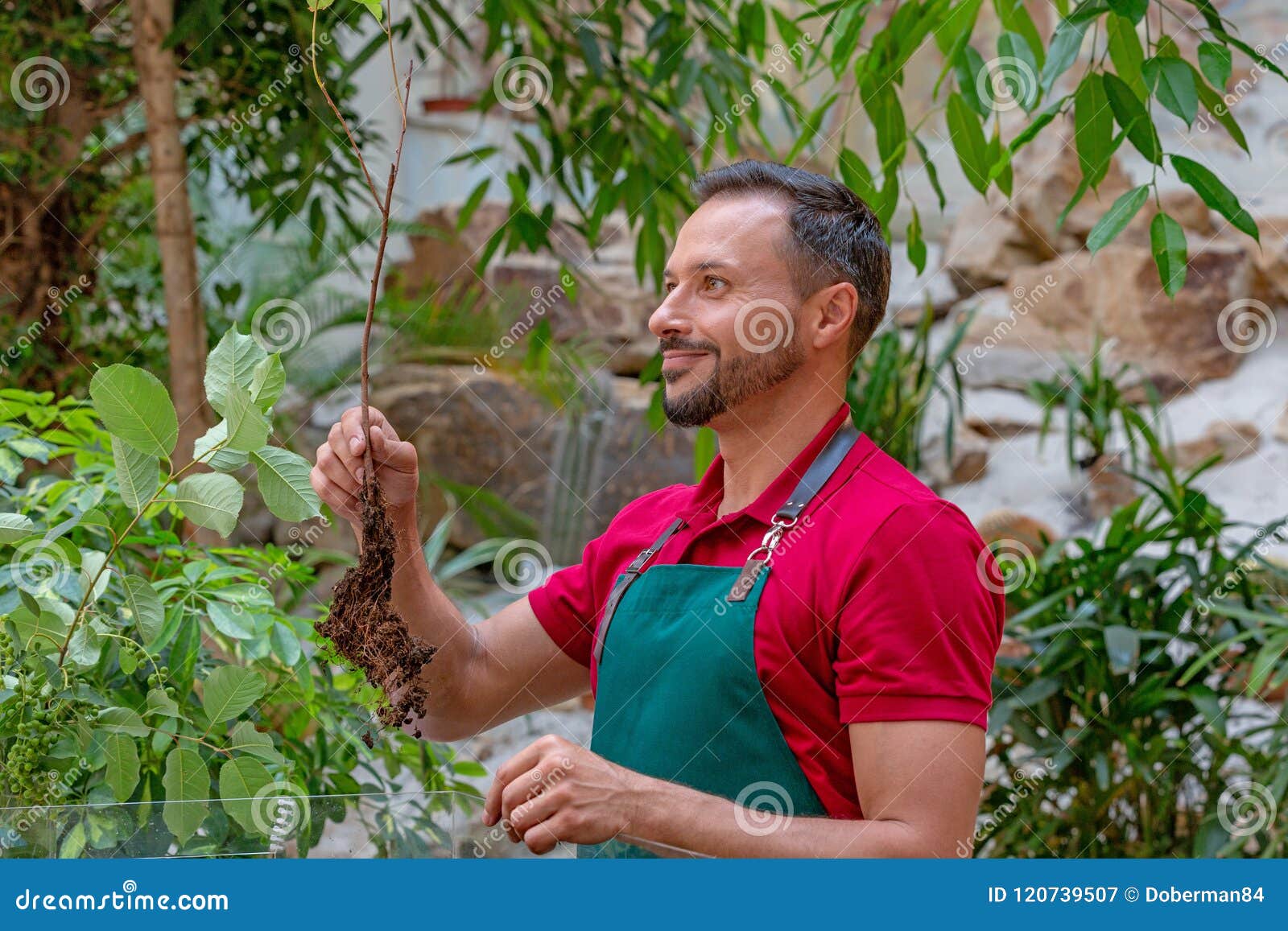 Man Holding Young Tree for Prepare into Soil As Save World Concept ...