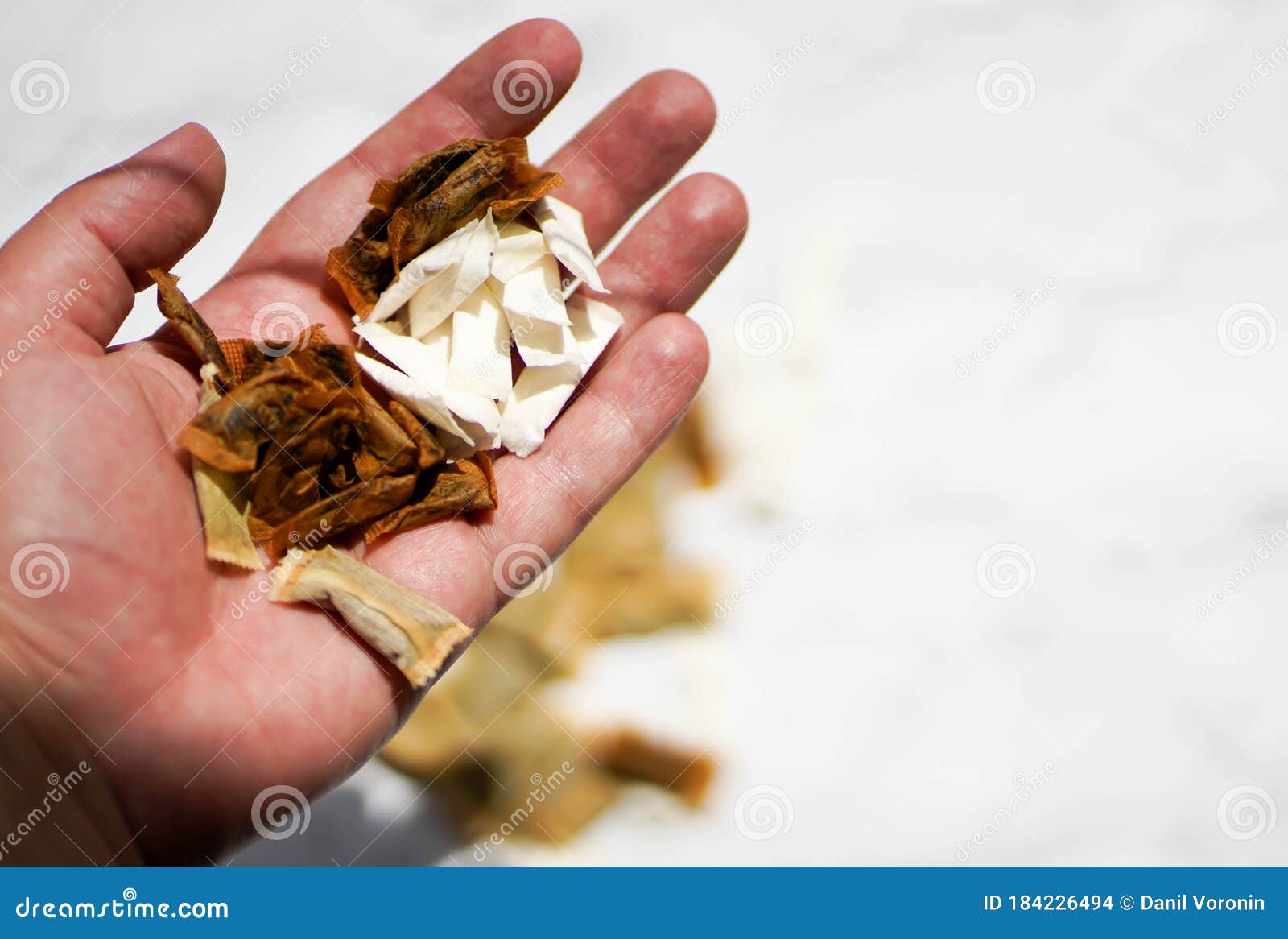 A Man Holds a Handful of Packets of Swedish Nicotine, Snus Stock Photo ...