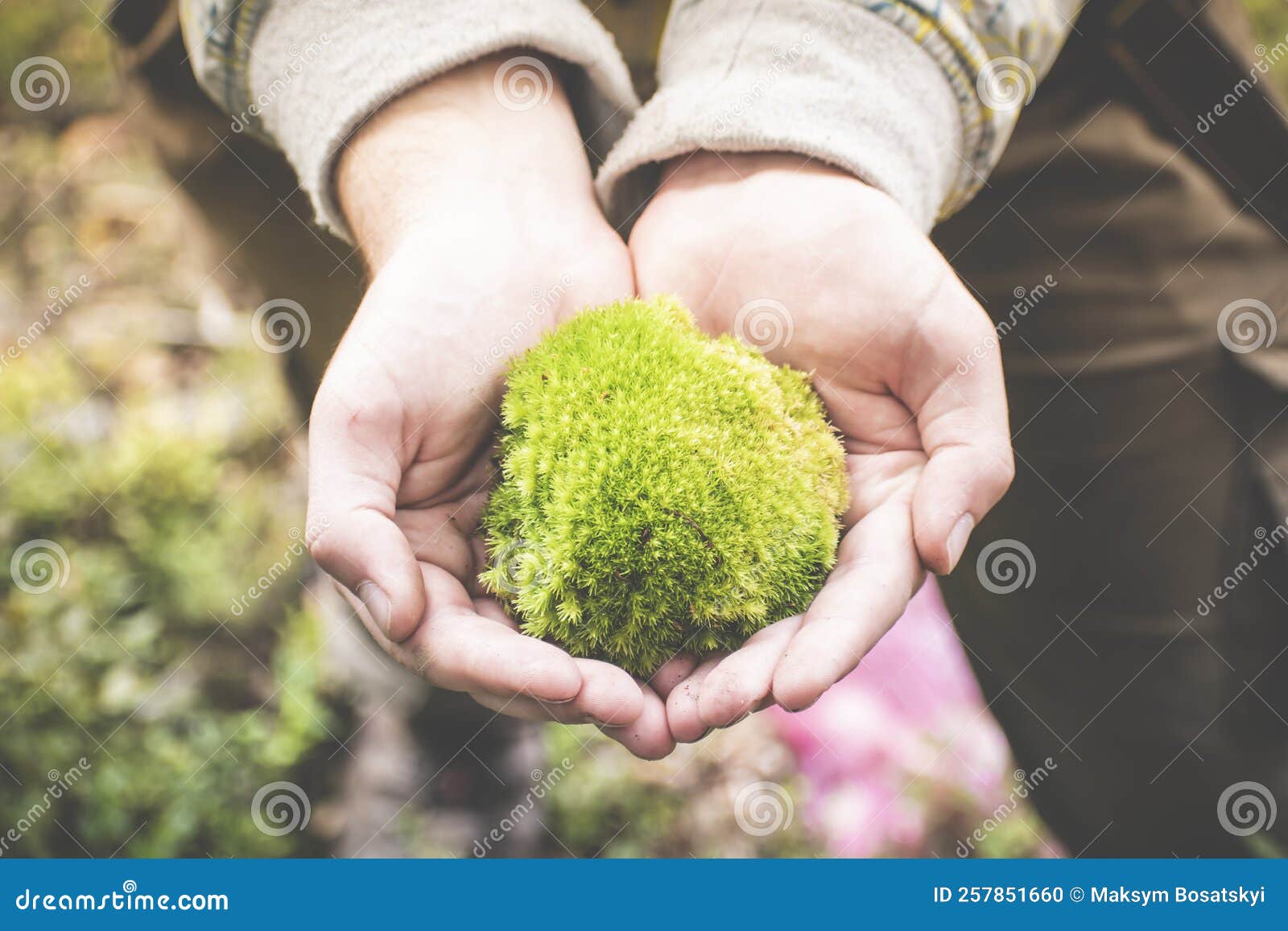 A Man Holds Moss in His Hands Stock Photo - Image of earth, growth ...