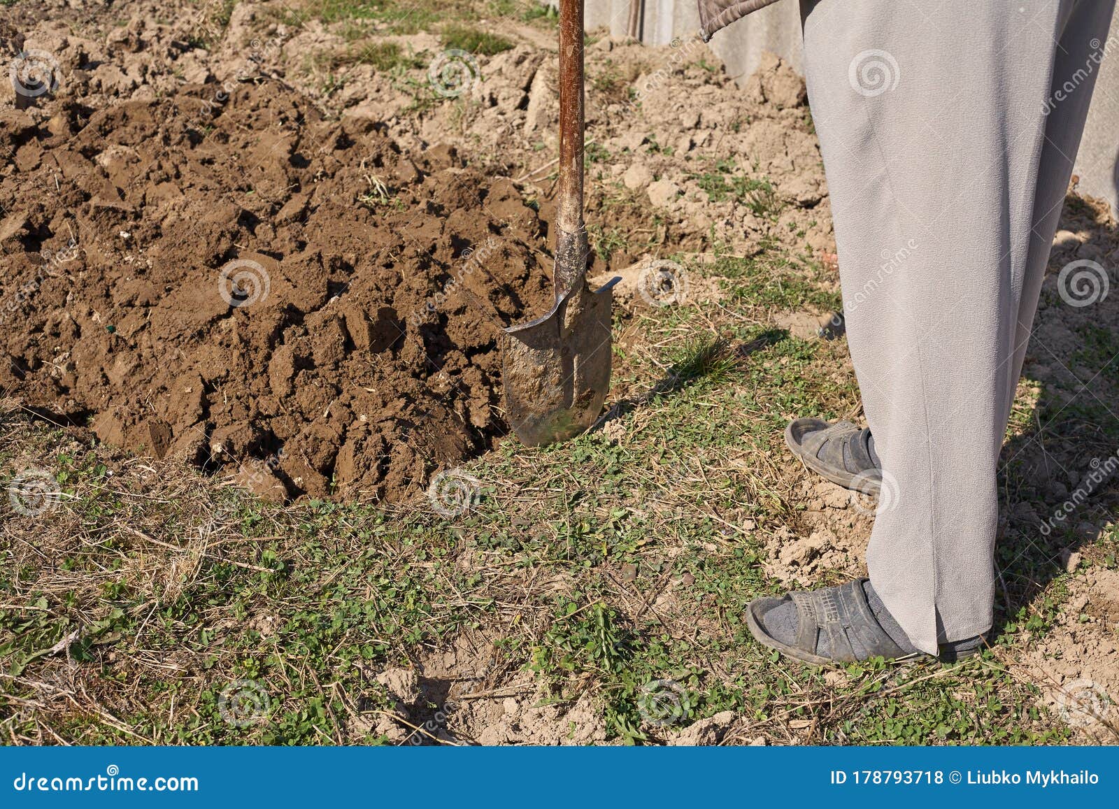 A Man Holds a Shovel in His Hands. Getting Ready To Dig the Ground ...