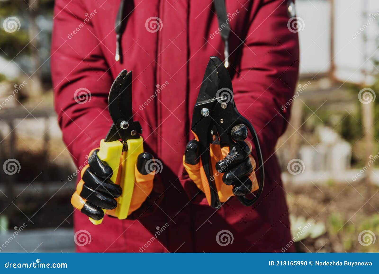 A Man Holds Two Secateurs of Different Kinds. the Concept is the Choice ...