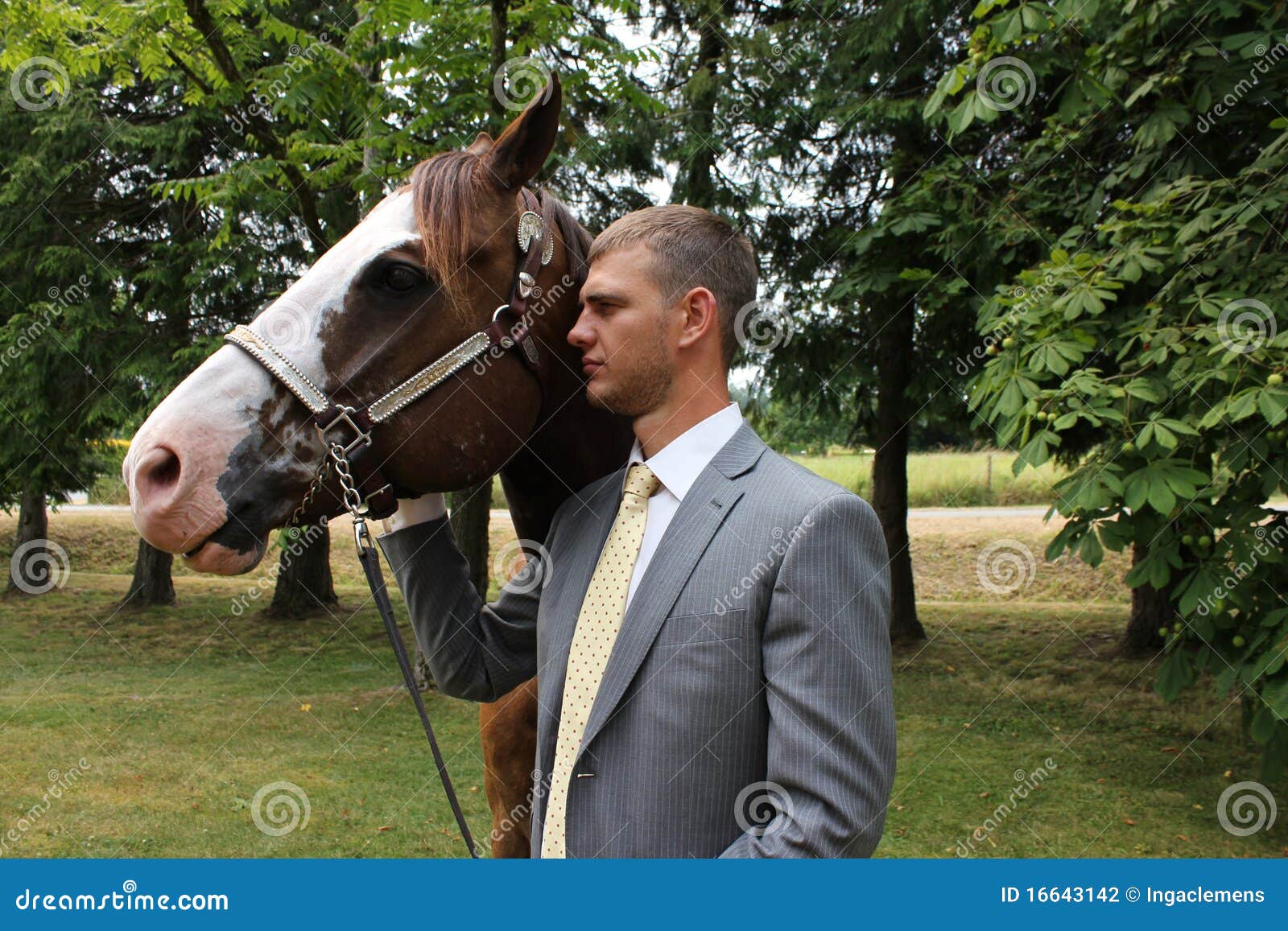 Man and a horse stock photo. Image of active, profile - 16643142