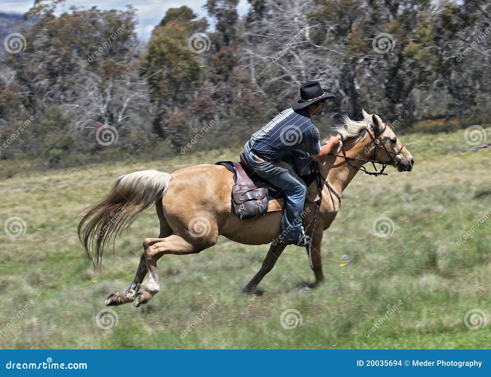 Man and horse stock photo. Image of australia, cowboy - 20035694