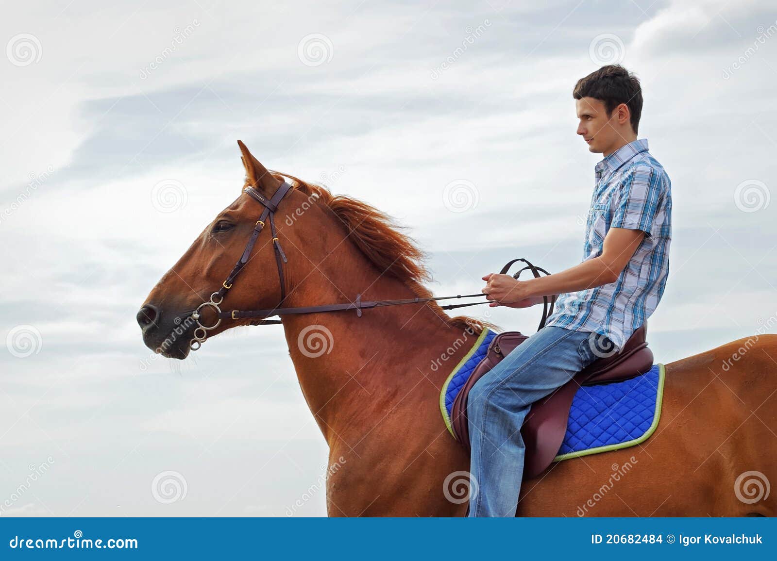 Man on horse stock photo. Image of cowboy, outdoor, holiday - 20682484