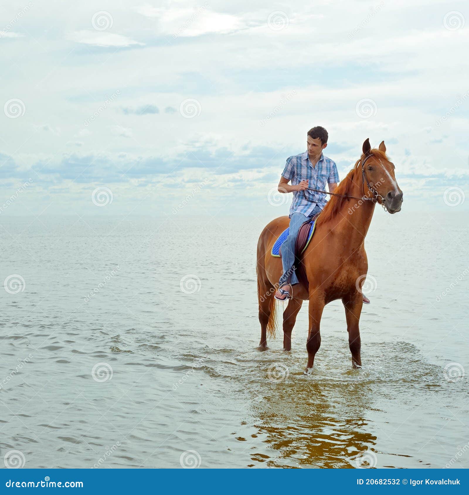 Man on horse stock photo. Image of animal, nature, male - 20682532