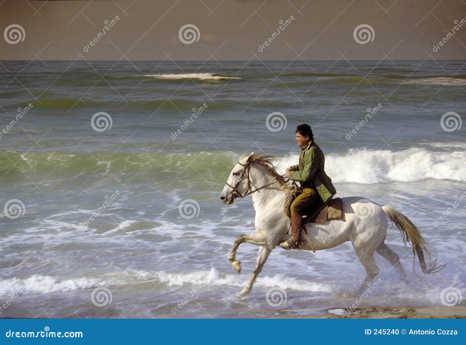 Man and horse stock photo. Image of cozza, blue, ride, stone - 245240