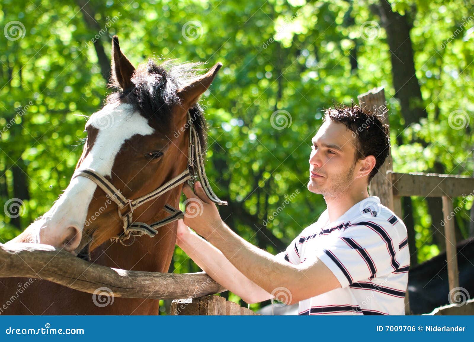 Man with horse stock photo. Image of head, mammal, harness - 7009706