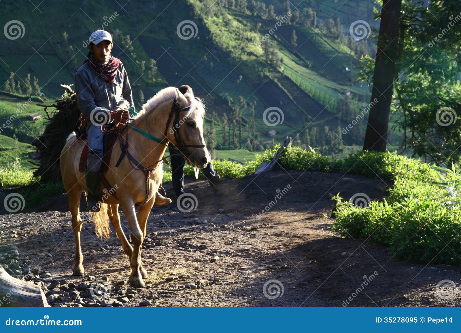 Man on the horse editorial image. Image of java, volcano - 35278095