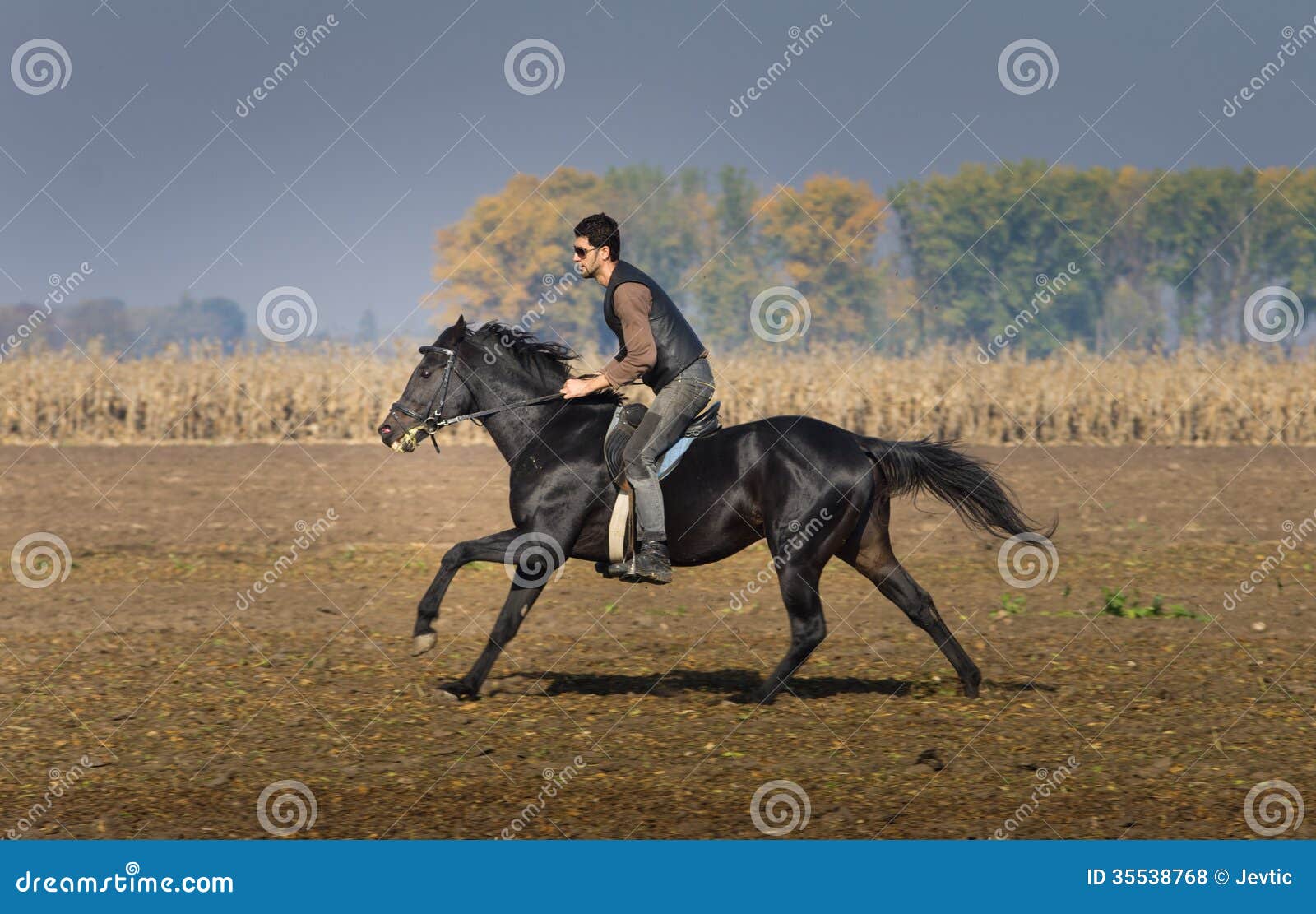 Man on horse stock photo. Image of riding, freedom, leisure - 35538768
