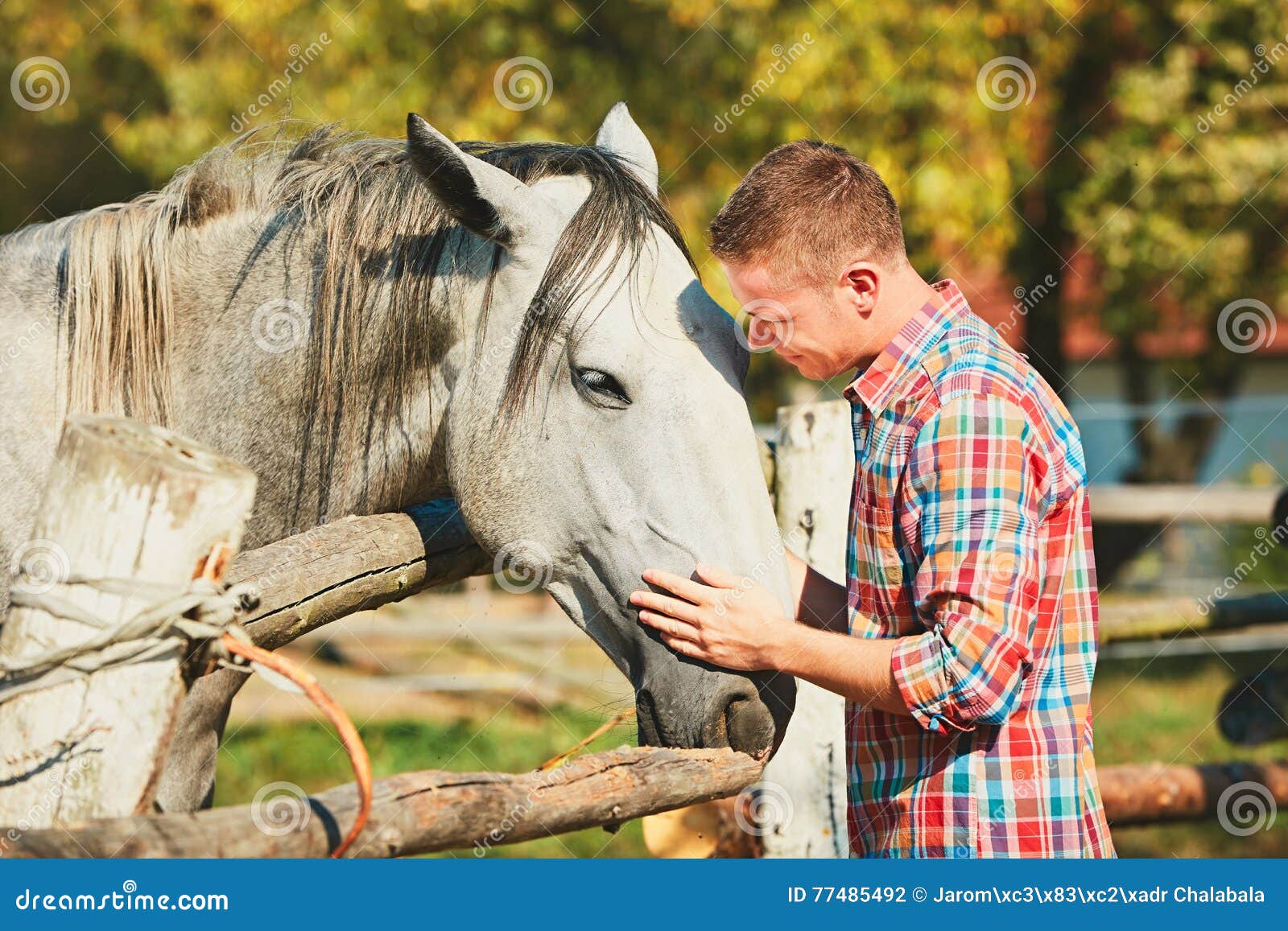 Man with horse stock photo. Image of farm, breeding, casual - 77485492