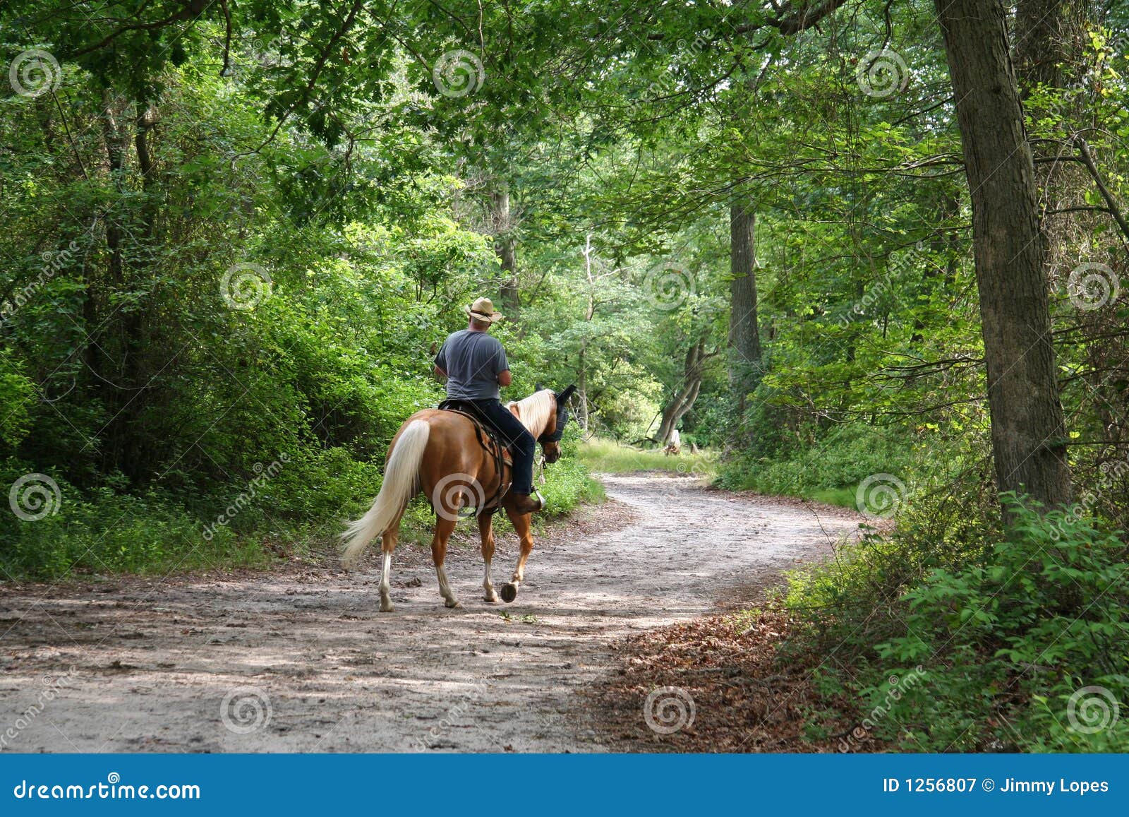 Man Horseback Riding stock image. Image of gravel, leafs - 1256807