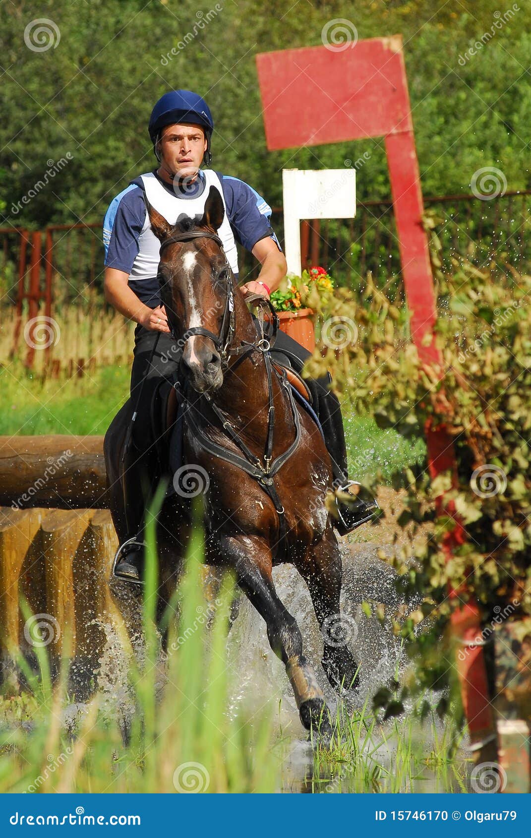 Man Horsebak on Galloping Brown Chestnut Horse Editorial Image - Image ...