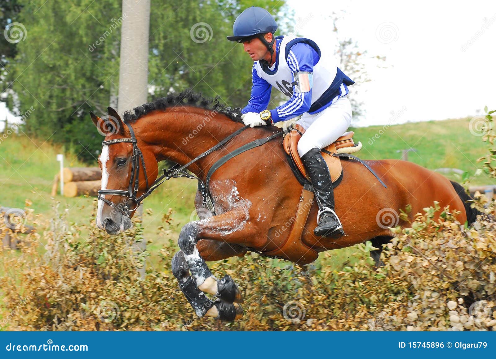Man Horsebak on Jumping Red Chestnut Horse Editorial Photo - Image of ...