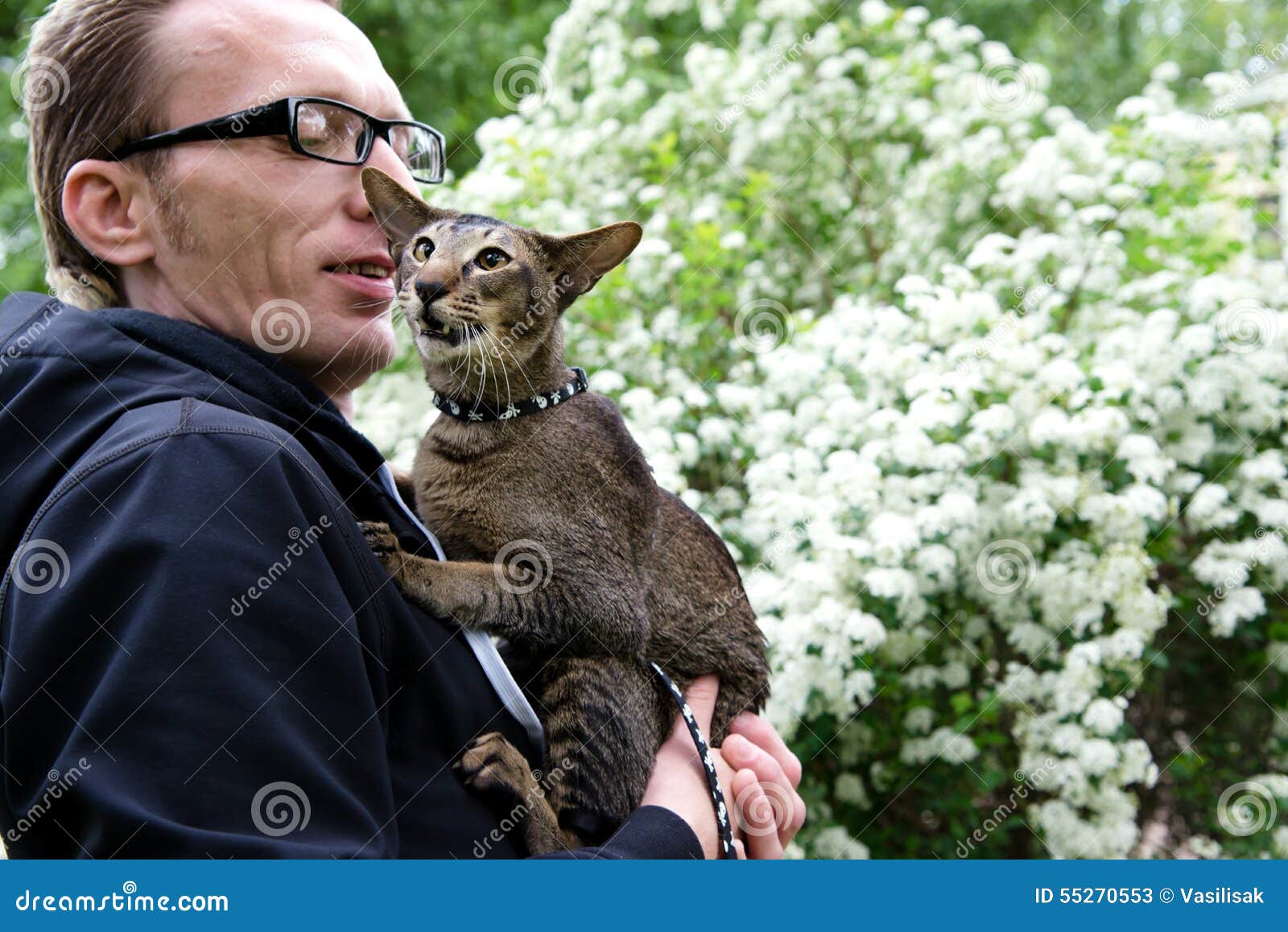 Man hug his cat outdoor stock image. Image of beige, city - 55270553