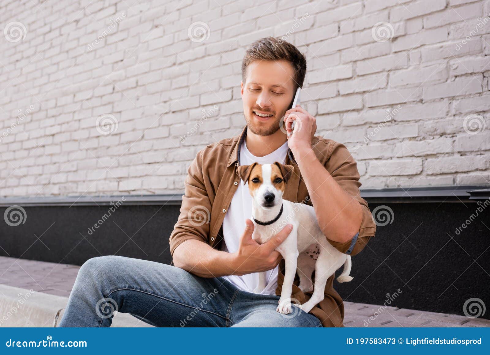 Man Jack Russell Terrier and Talking Stock Image - Image of denim ...