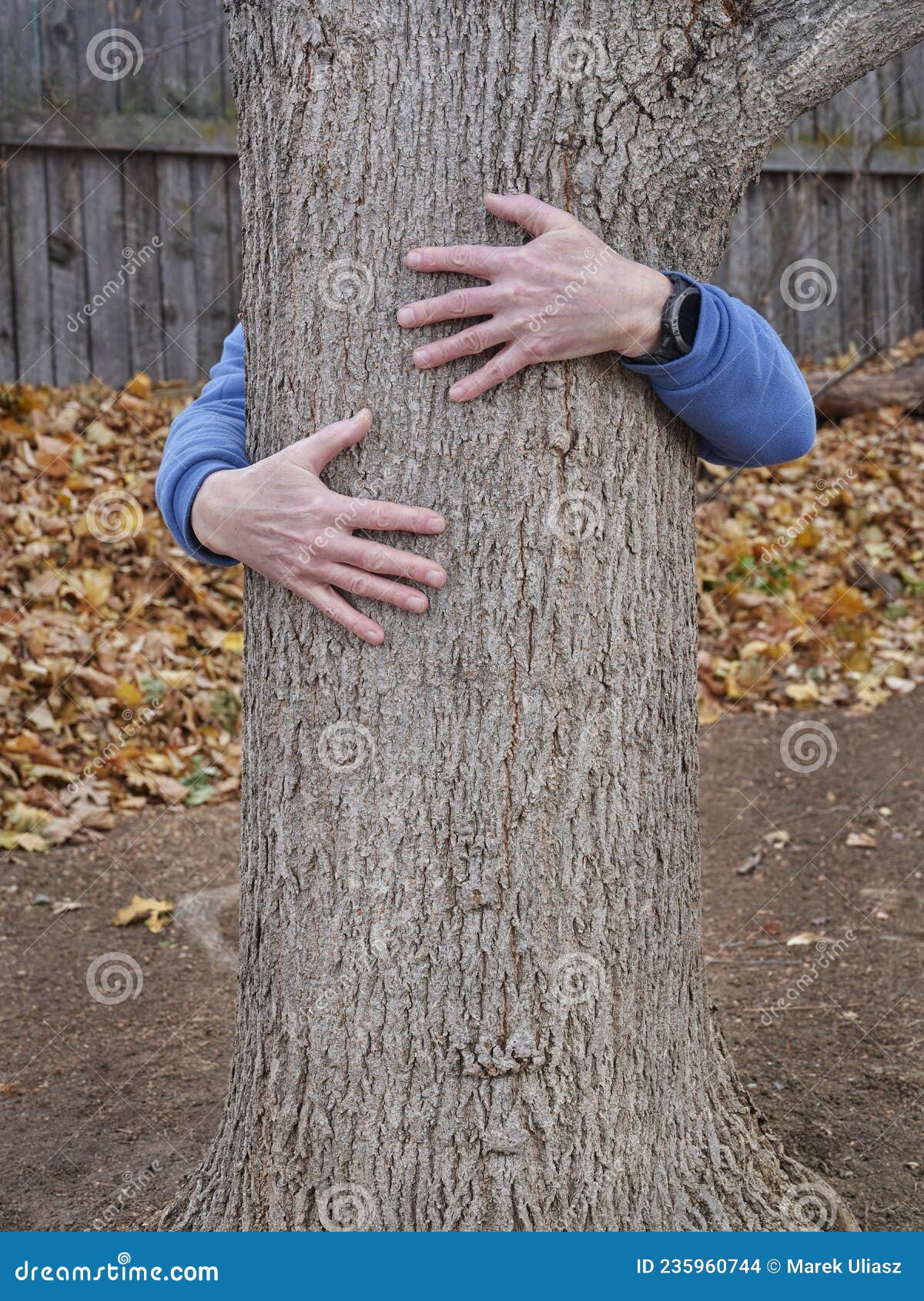 Man Hugging a Tree in a Backyard Stock Photo - Image of environment ... Man Hugging a Tree in a Backyard Stock Photo - Image of environment ...