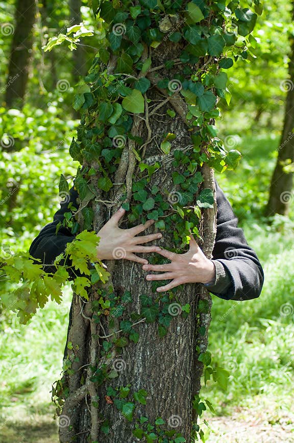 Man Hugging a Tree in a Forest Stock Photo - Image of back, love: 147620172