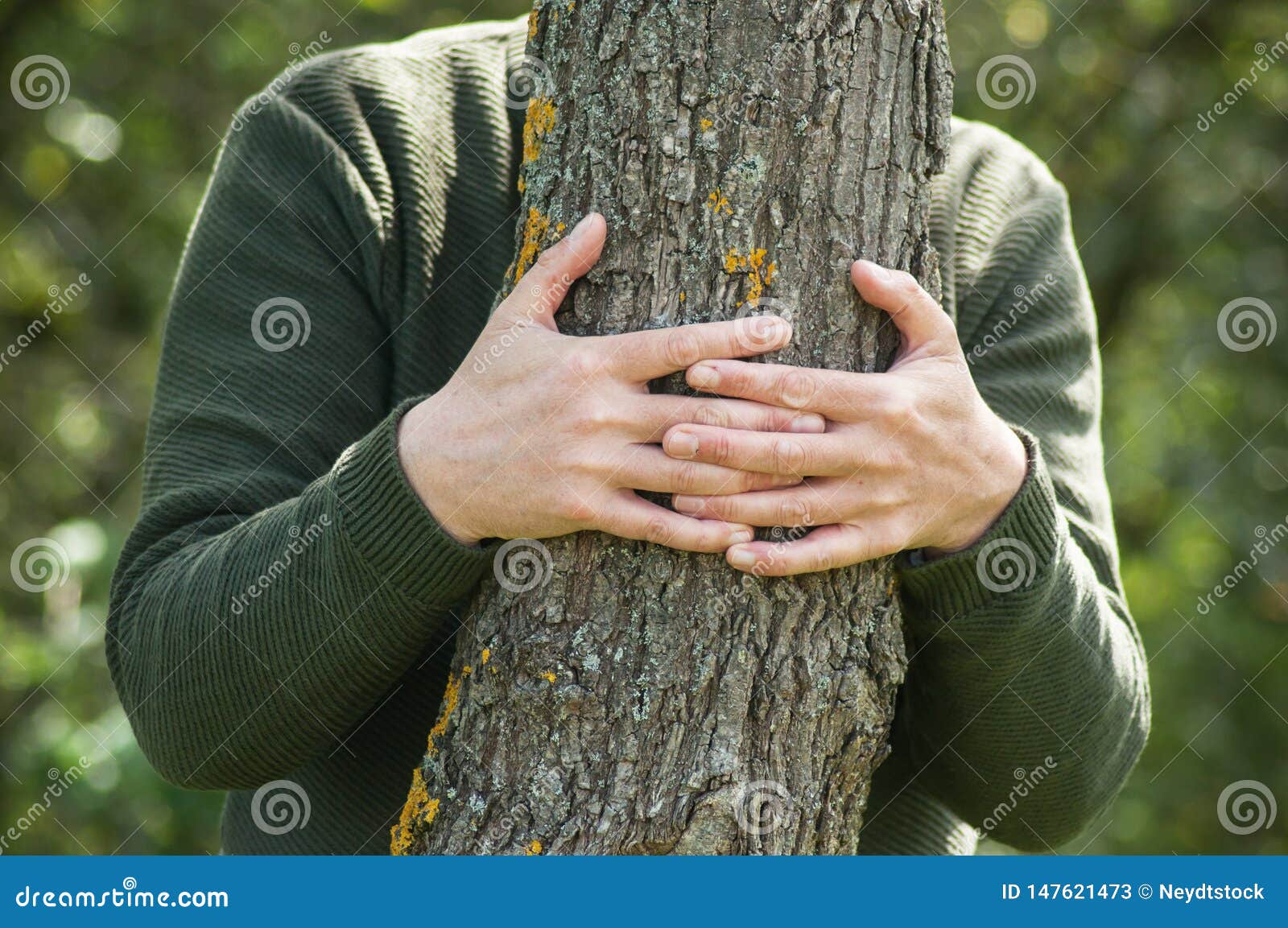 Man Hugging a Tree in a Forest Stock Image - Image of plant, colorful ...