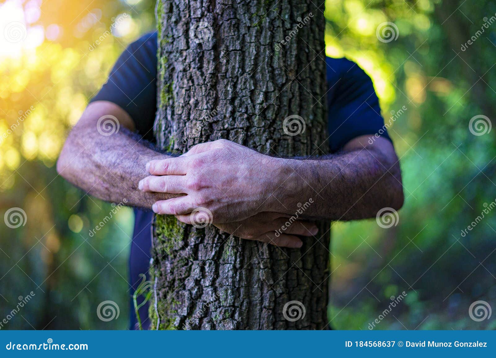 Man Hugging a Tree in the Forest. Stock Image - Image of taking ...
