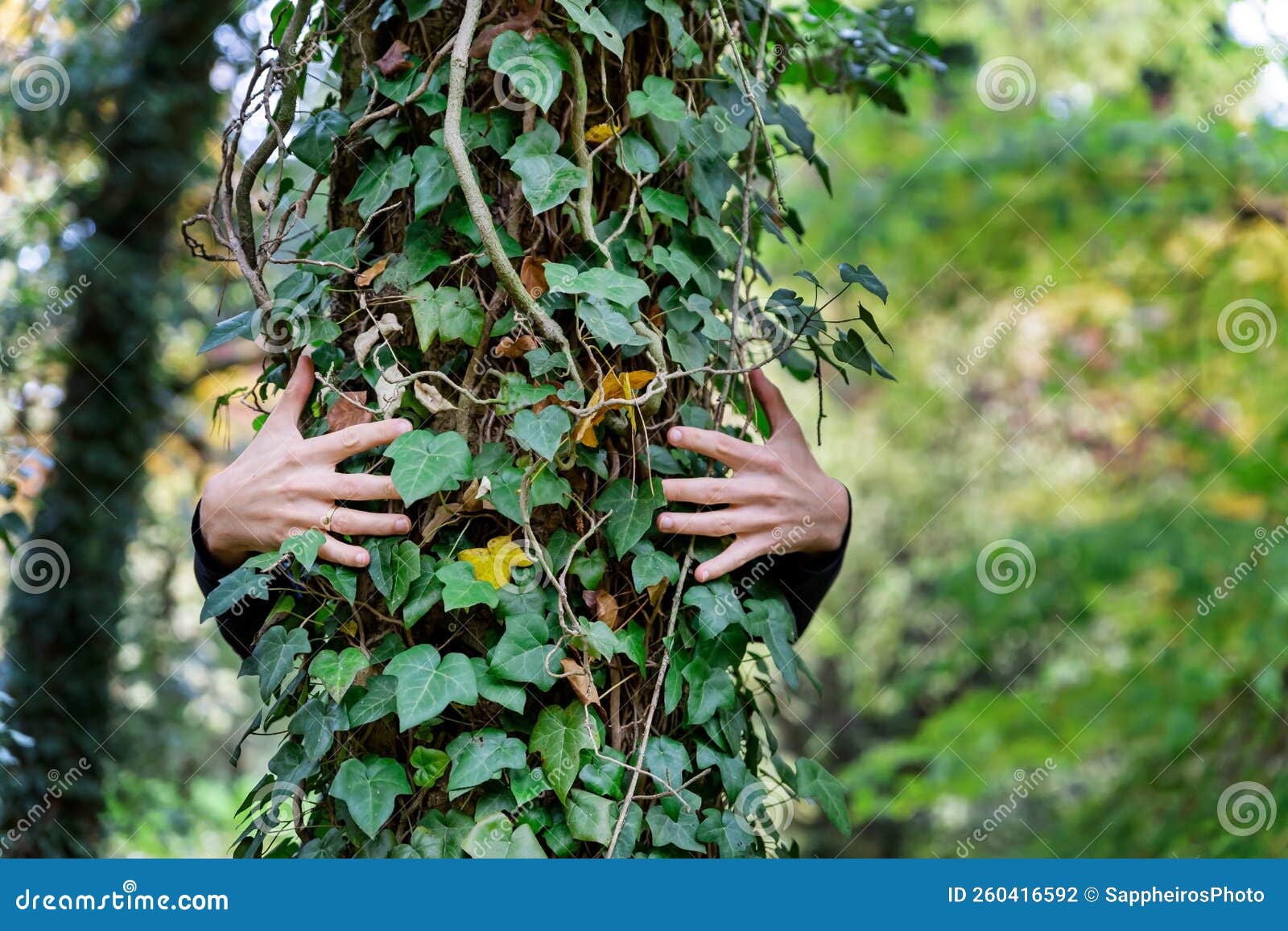 Man Hugging Tree in Forest, Embracing Tree Trunk with Both Hands ... Man Hugging Tree in Forest, Embracing Tree Trunk with Both Hands ...