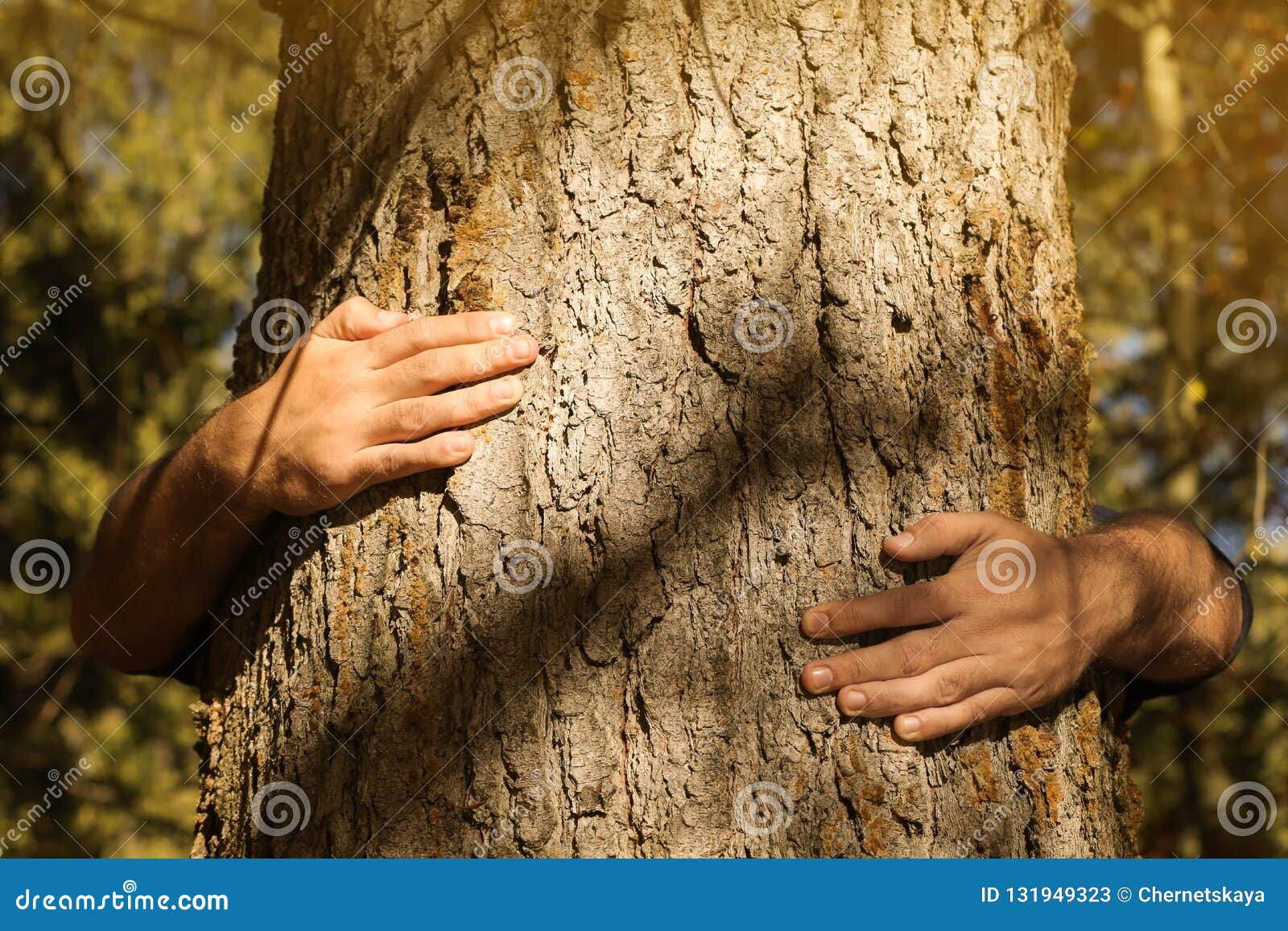 Man hugging tree in forest stock image. Image of growth - 131949323