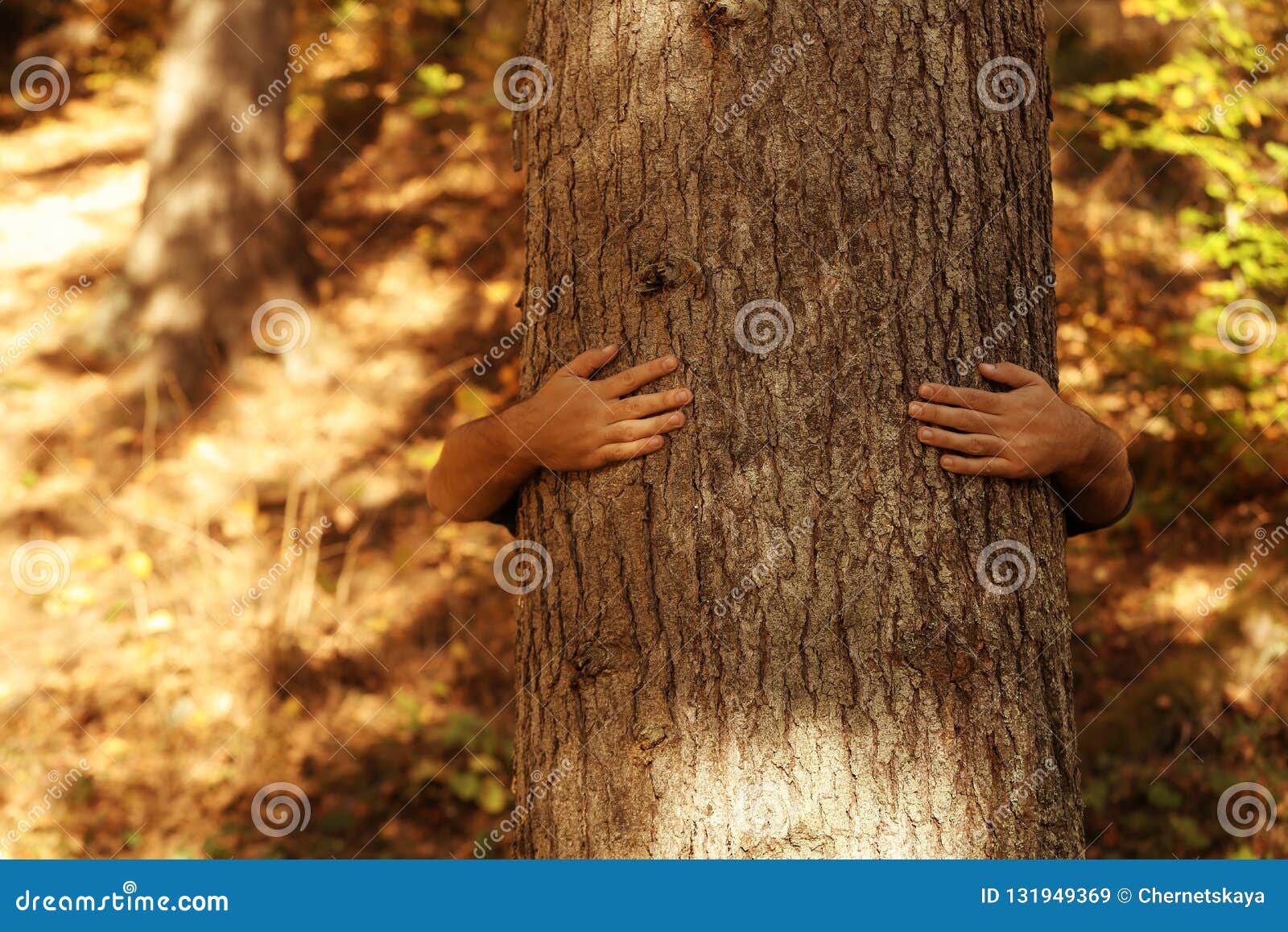 Man hugging tree in forest stock image. Image of floral - 131949369