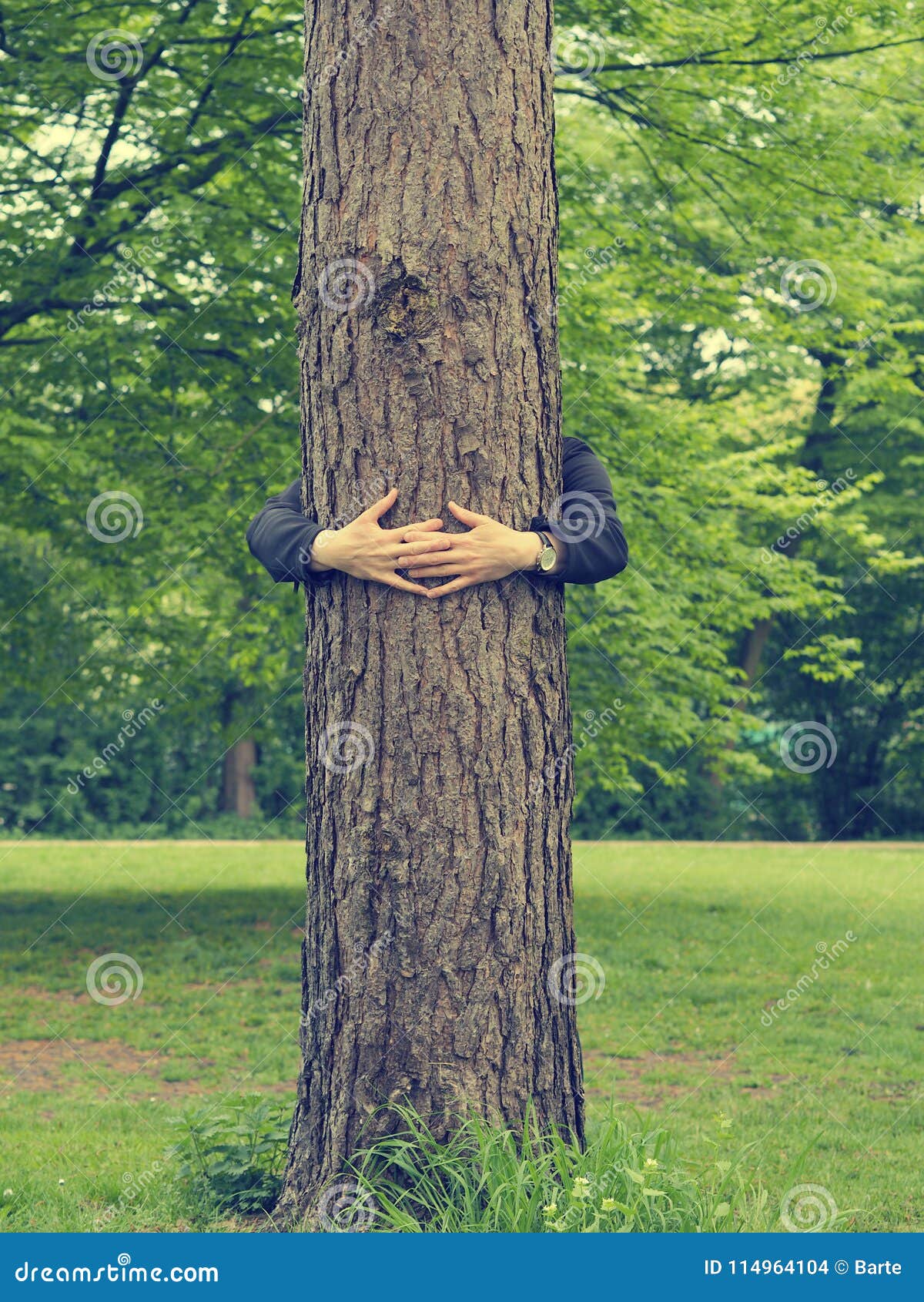 Man hugs a big tree stock photo. Image of growth, person - 114964104