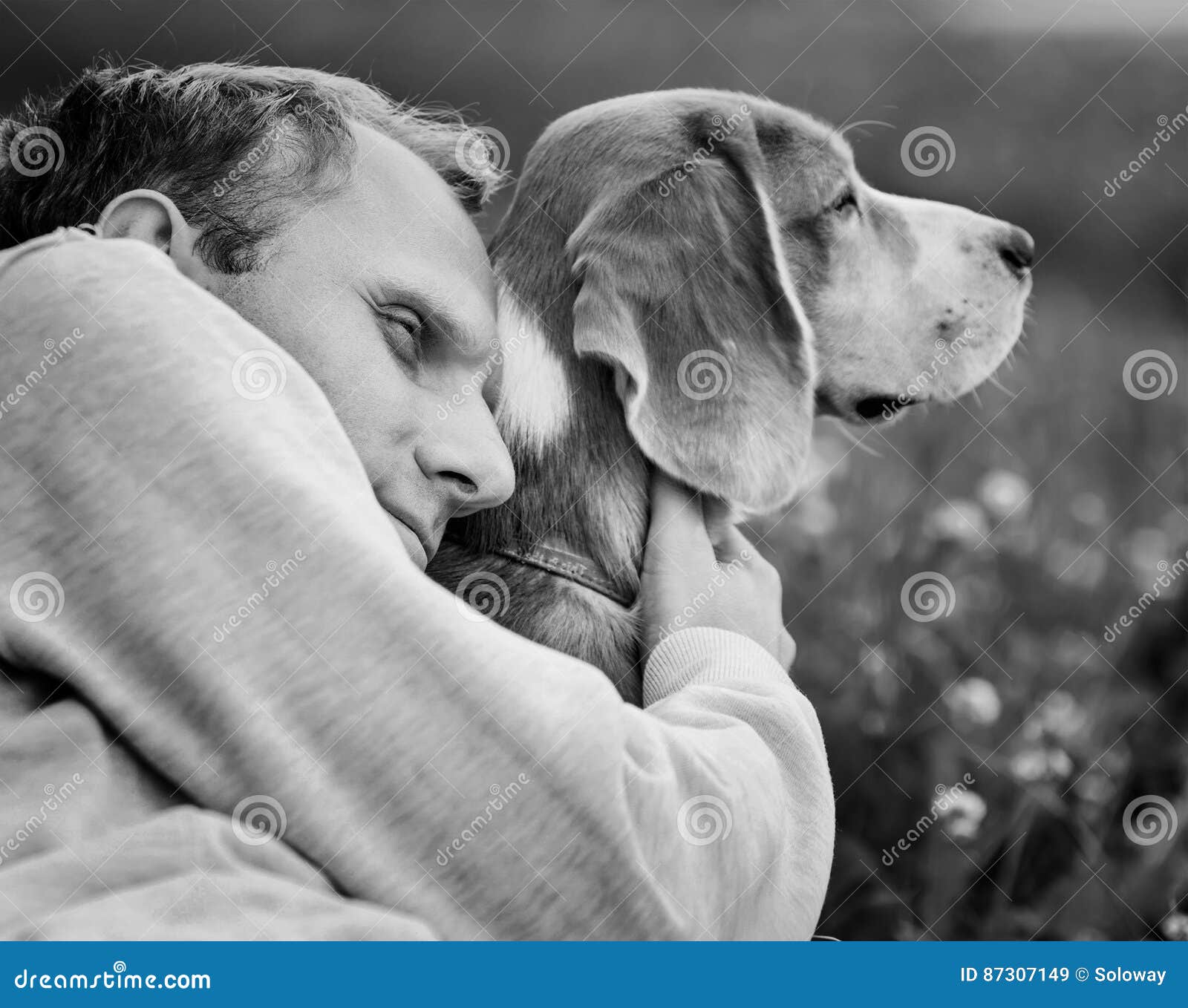 Man hugs his favorite dog stock image. Image of green - 87307149
