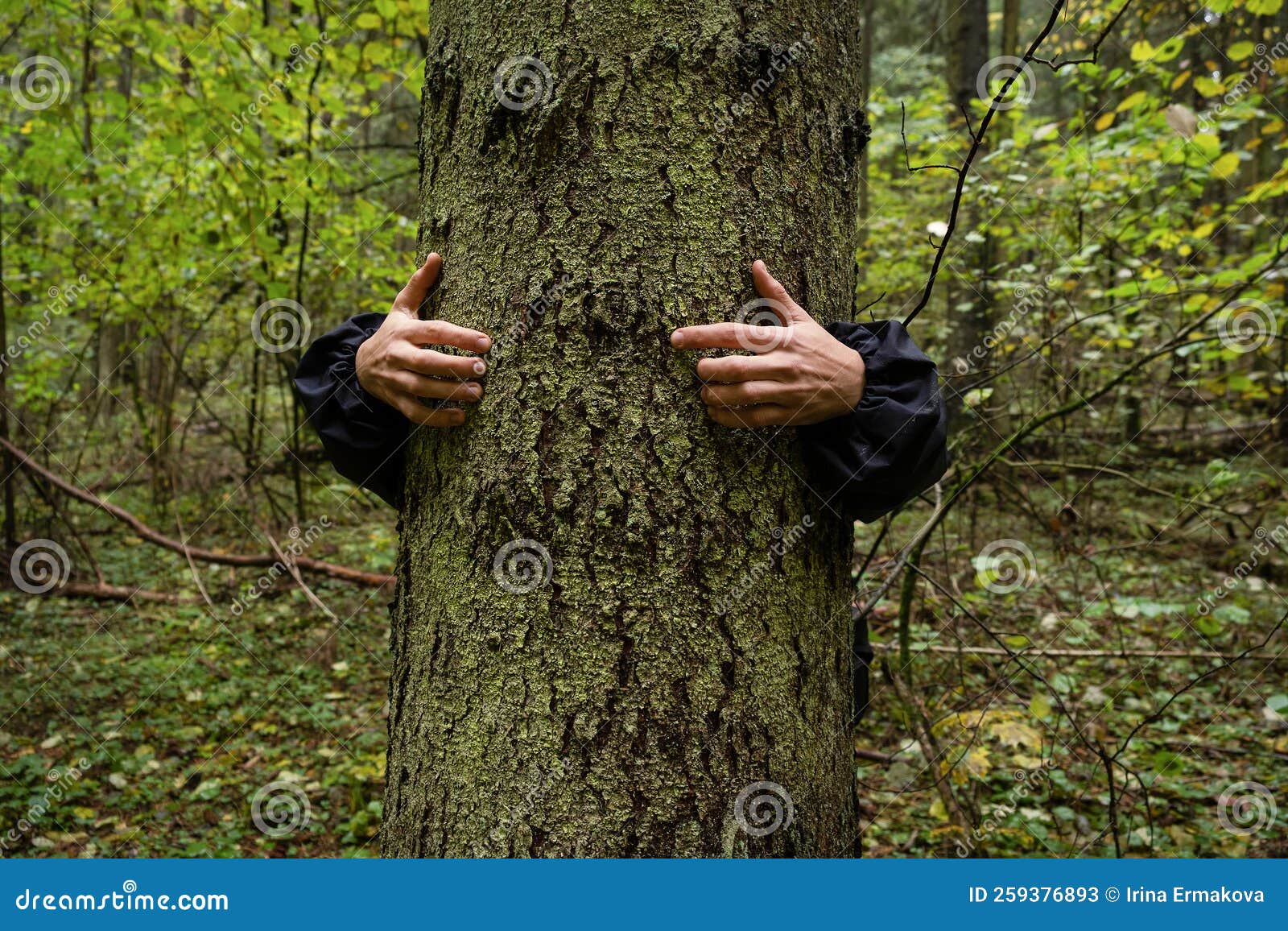 Man Hugs Tree in Lush Green Forest. Concept: Protection from ... Man Hugs Tree in Lush Green Forest. Concept: Protection from ...