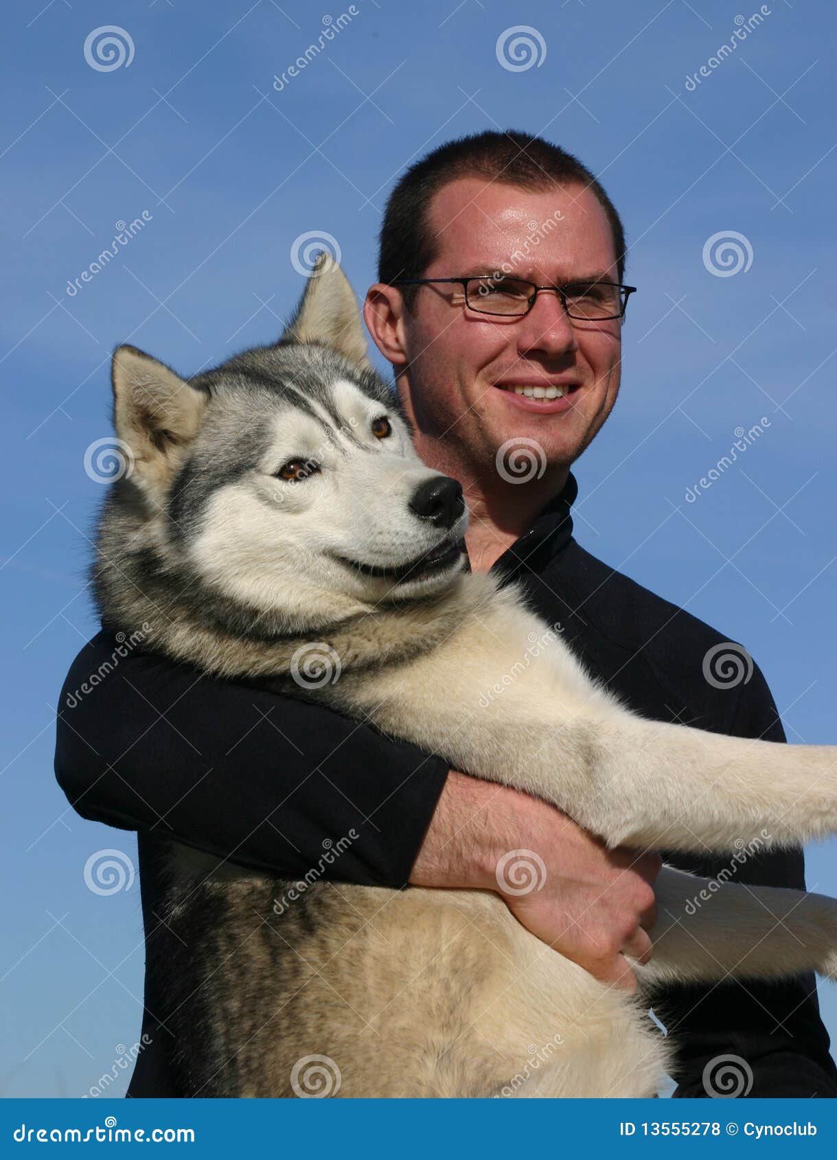 Man and husky stock photo. Image of friend, husky, purebred - 13555278