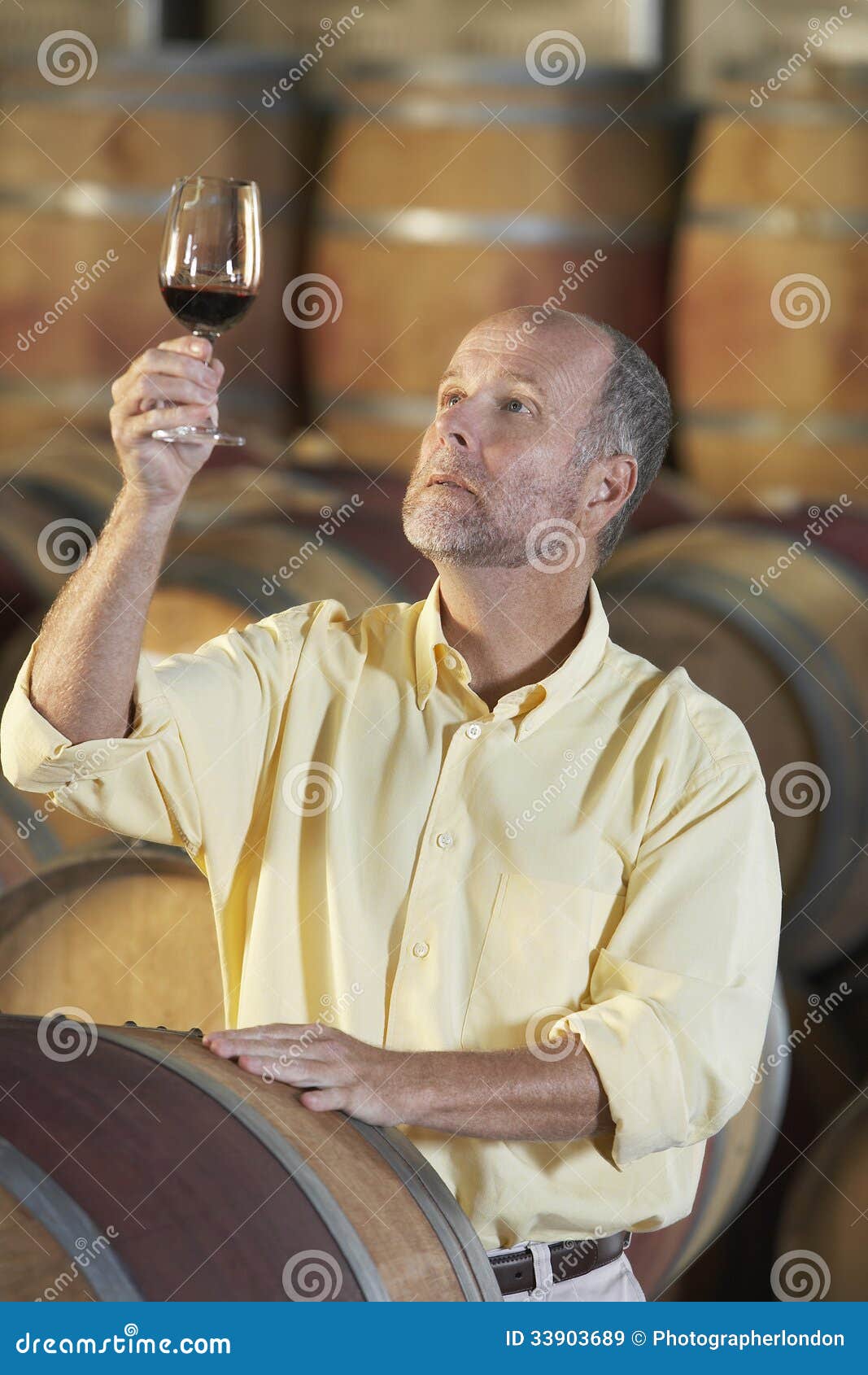 Man Inspecting Quality of Red Wine in Cellar Stock Image - Image of ...