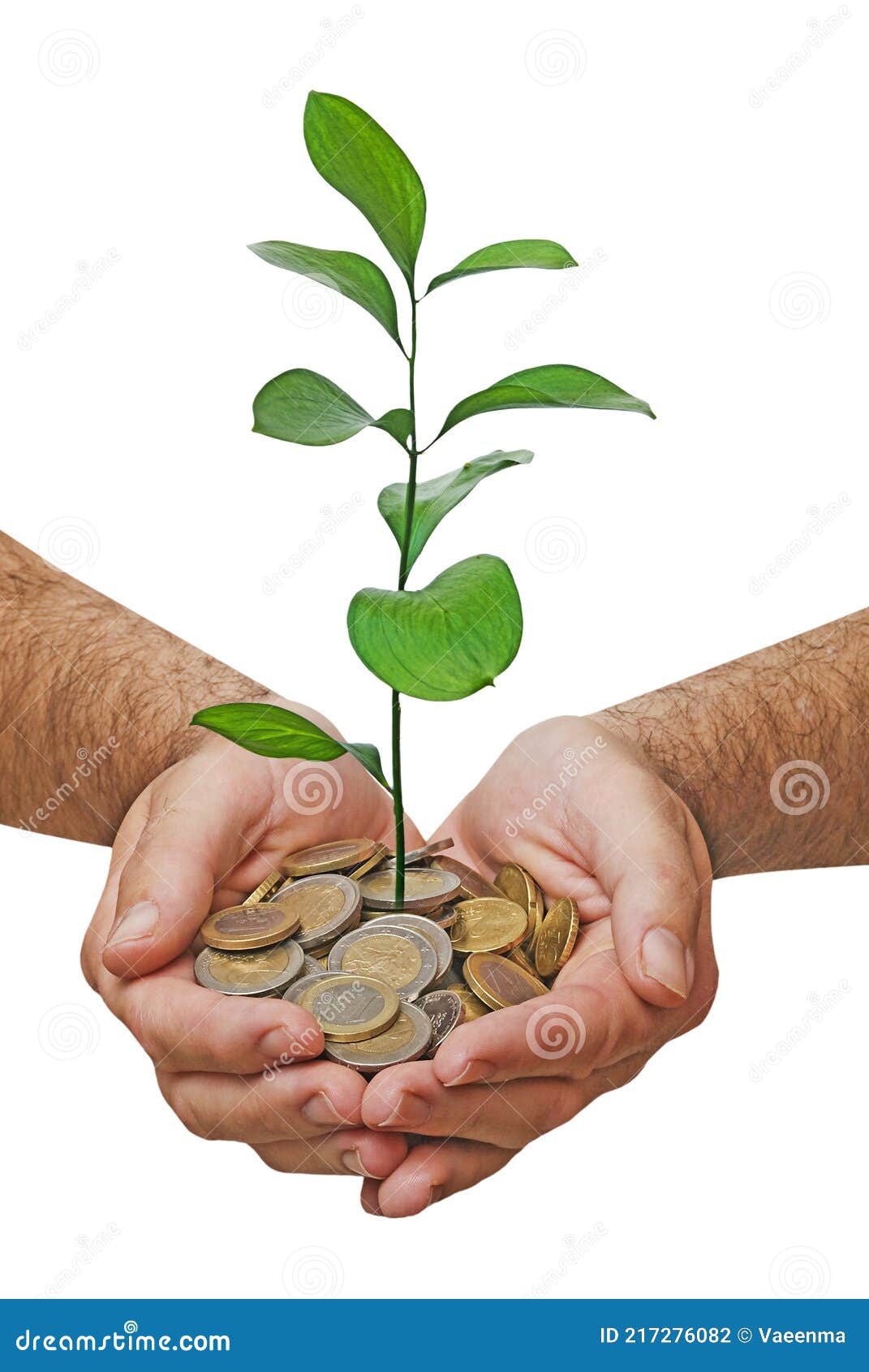 Investing Money in Environment Stock Photo - Image of bank, investment ...