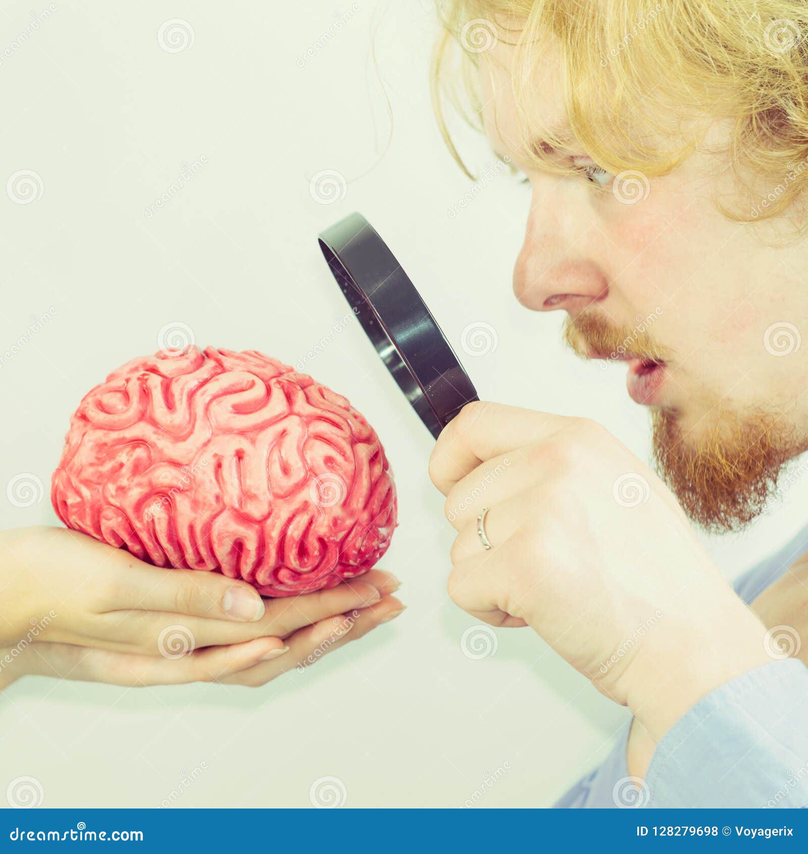 Man Investigating Human Brain Using Magnifer Stock Photo - Image of ...