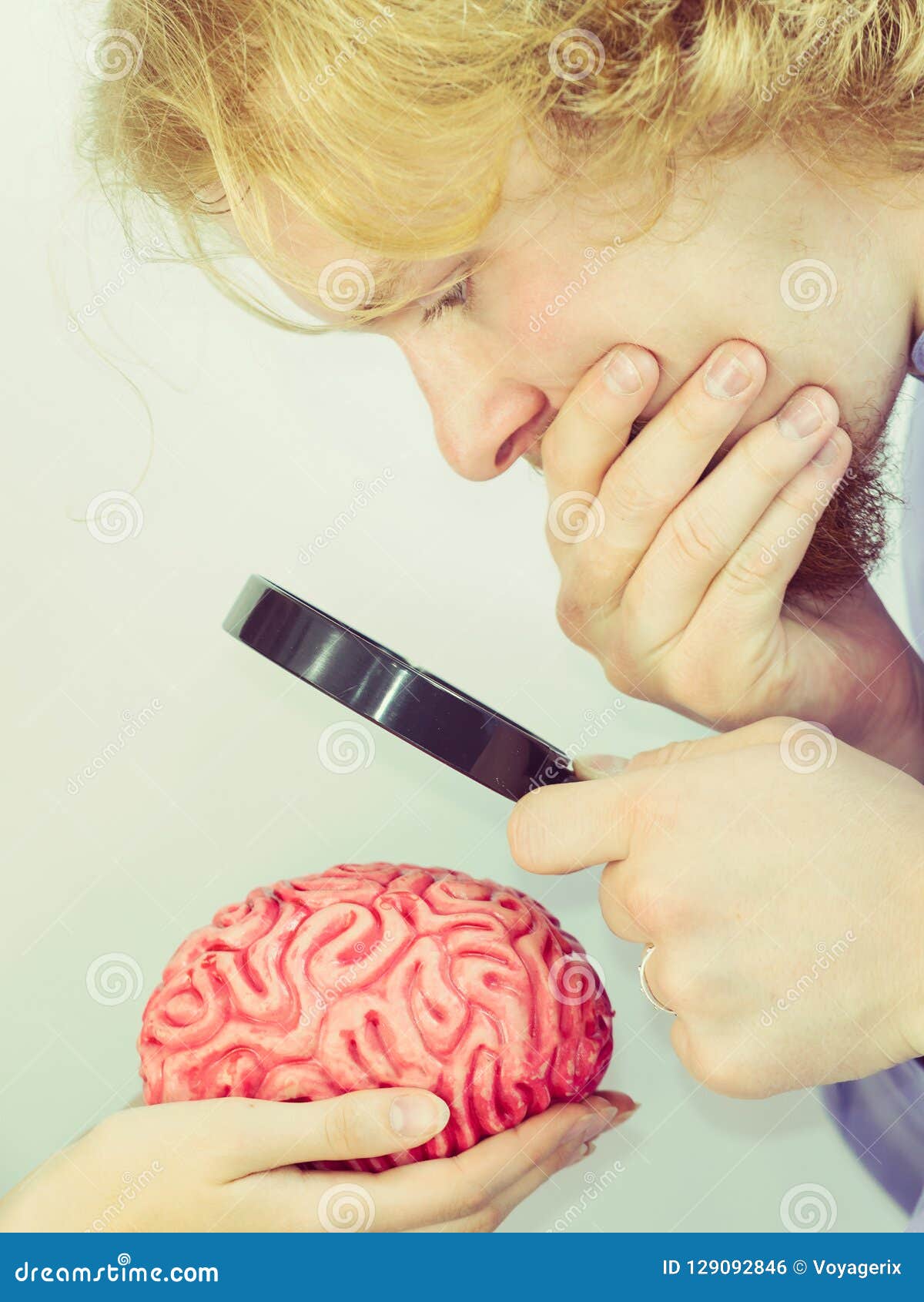 Man Investigating Human Brain Using Magnifer Stock Photo - Image of ...