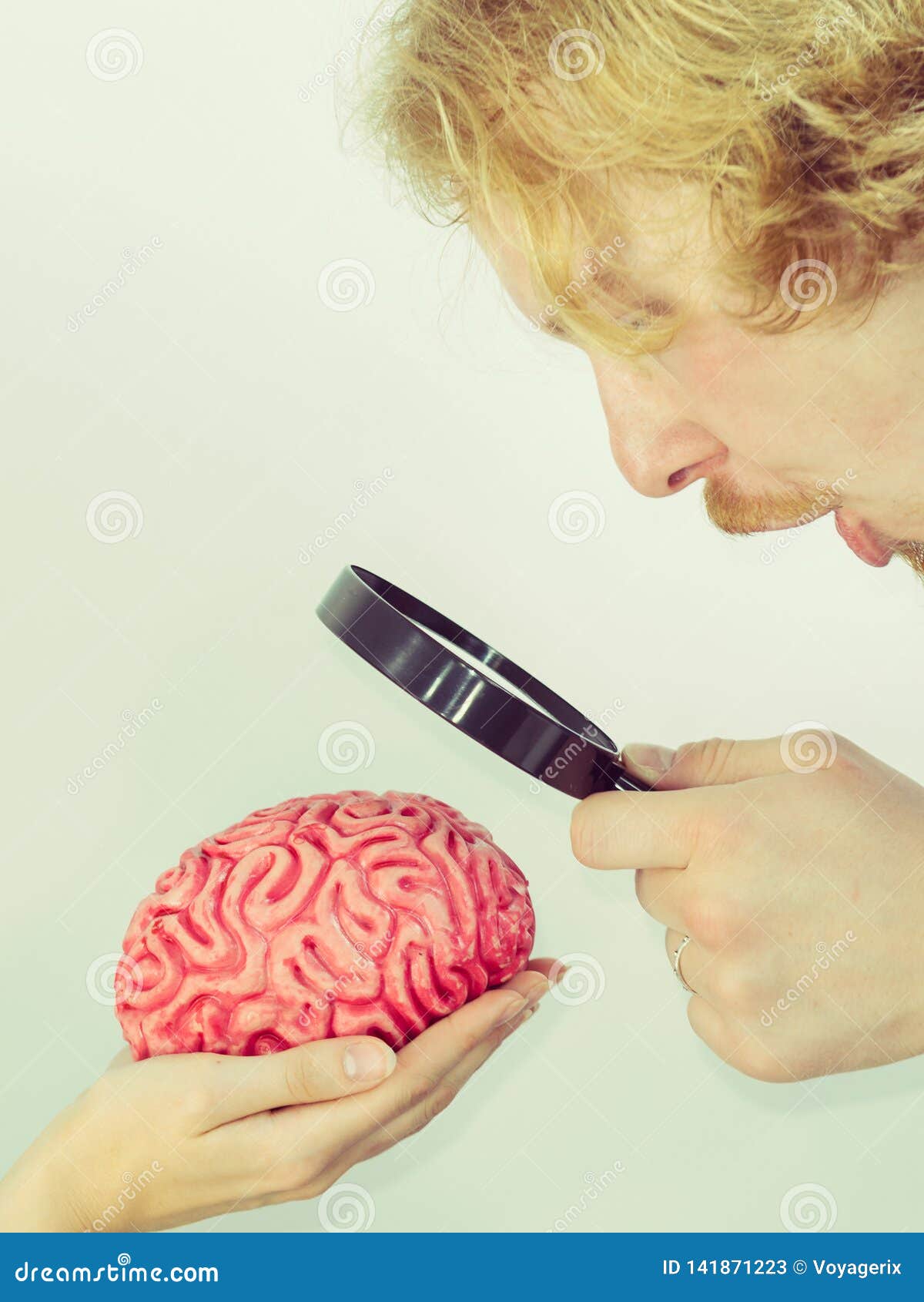 Man Investigating Human Brain Using Magnifer Stock Image - Image of ...