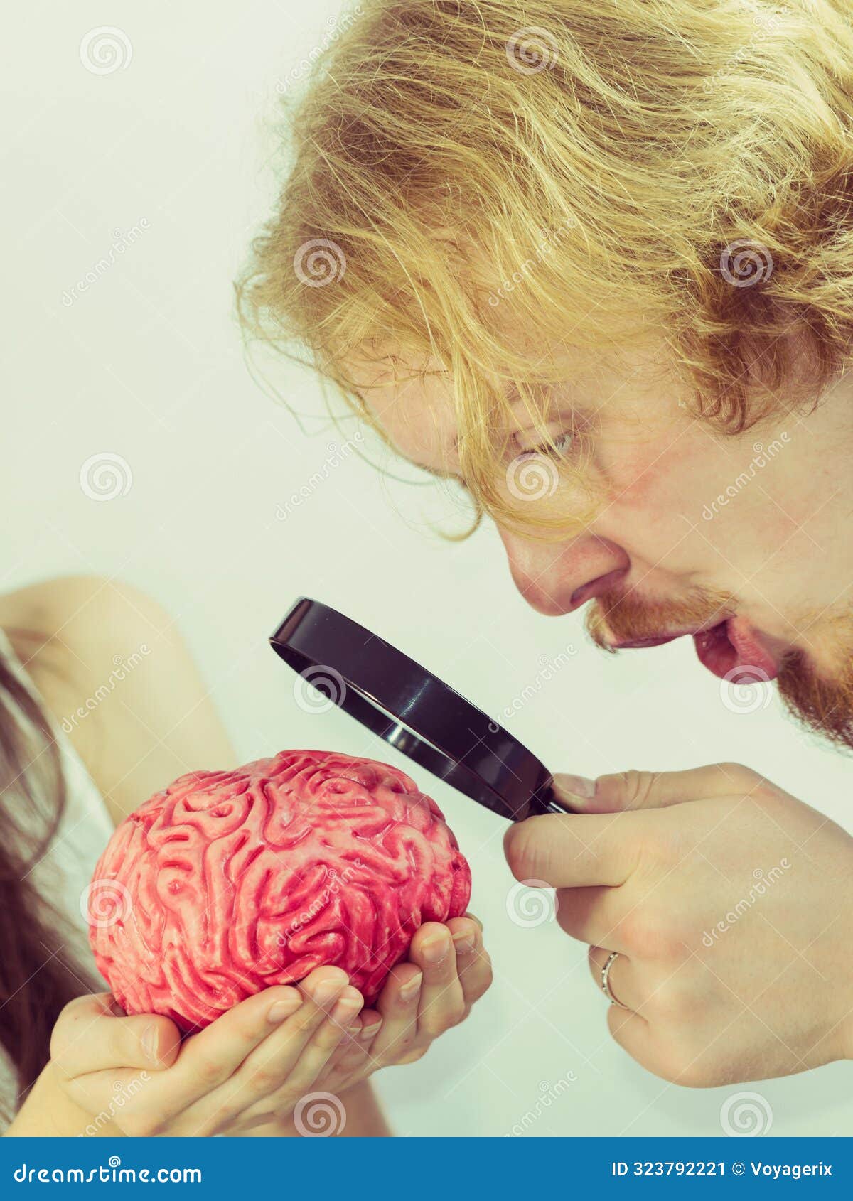 Man Investigating Human Brain Using Magnifer Stock Image - Image of ...