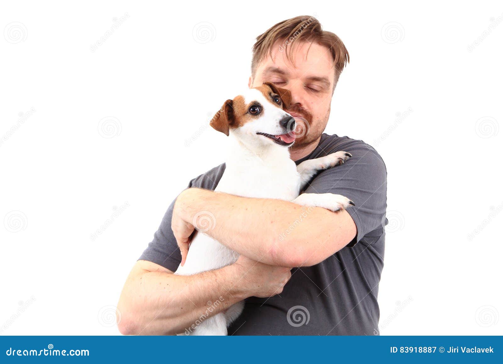 Man and Jack Russell Terrier Stock Image - Image of hand, russell: 83918887