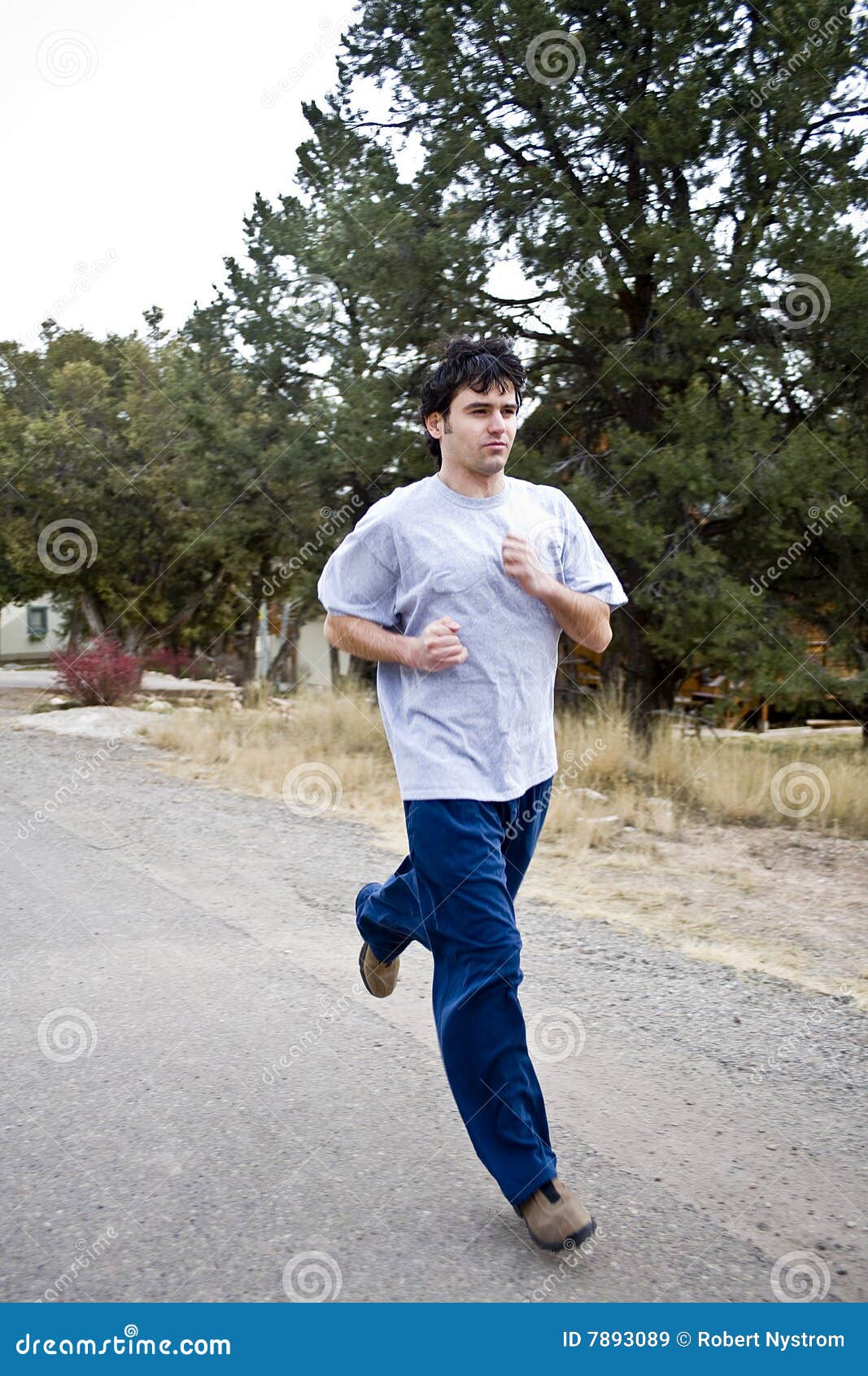 Man Jogging stock image. Image of active, jogger, health - 7893089