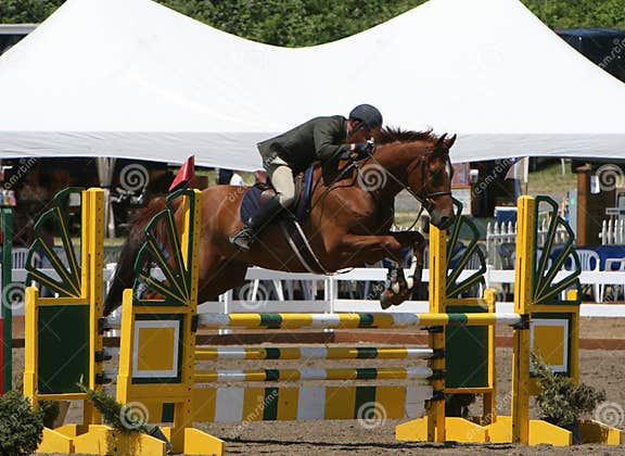 Man jumping Oxer stock image. Image of horse, leap, athlete - 2089913
