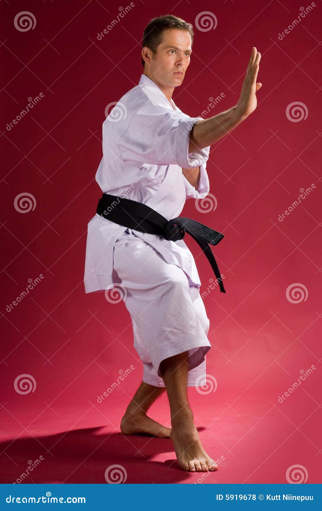 Man in karate pose stock photo. Image of posing, karateka - 5919678
