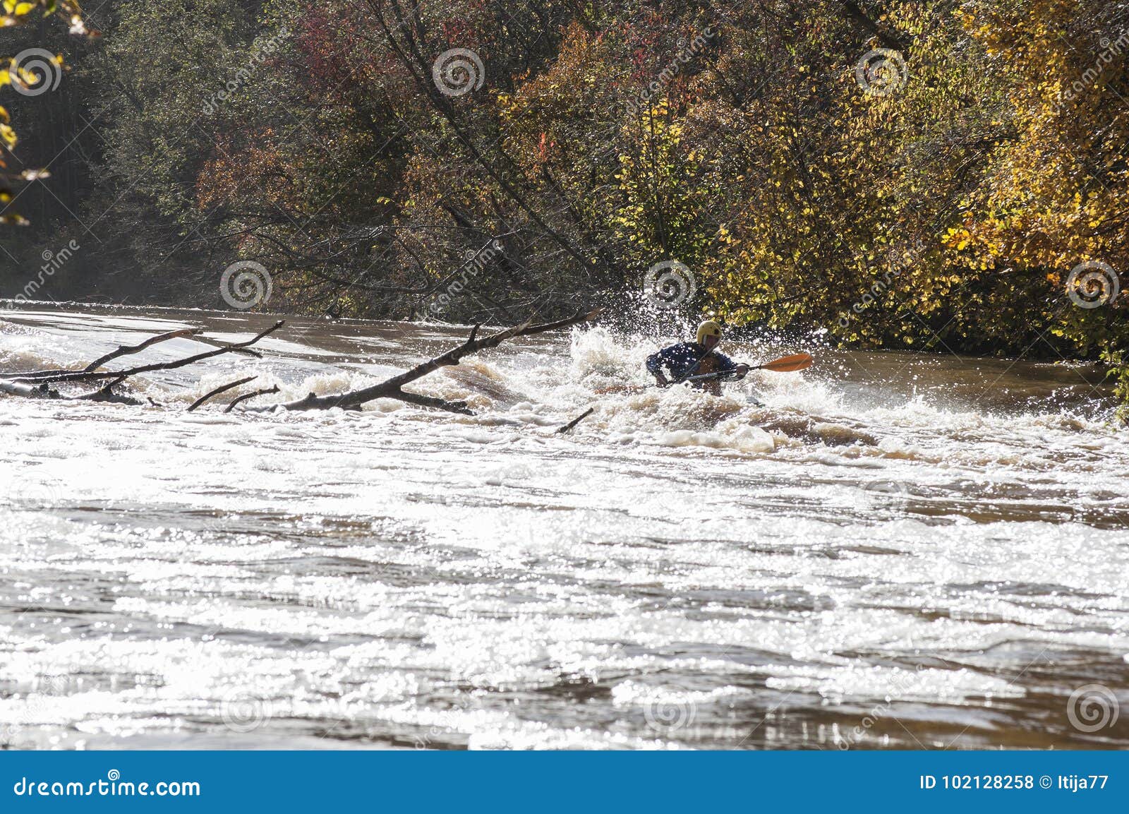 Man with Kayak Ride Down the River Rapids in Latvia Editorial Stock ...