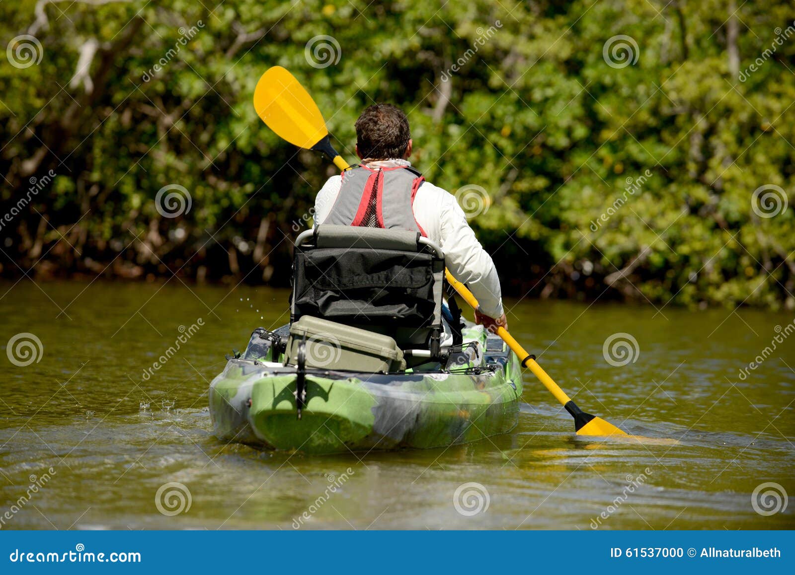 Man kayaking in mangroves stock photo. Image of athlete - 61537000