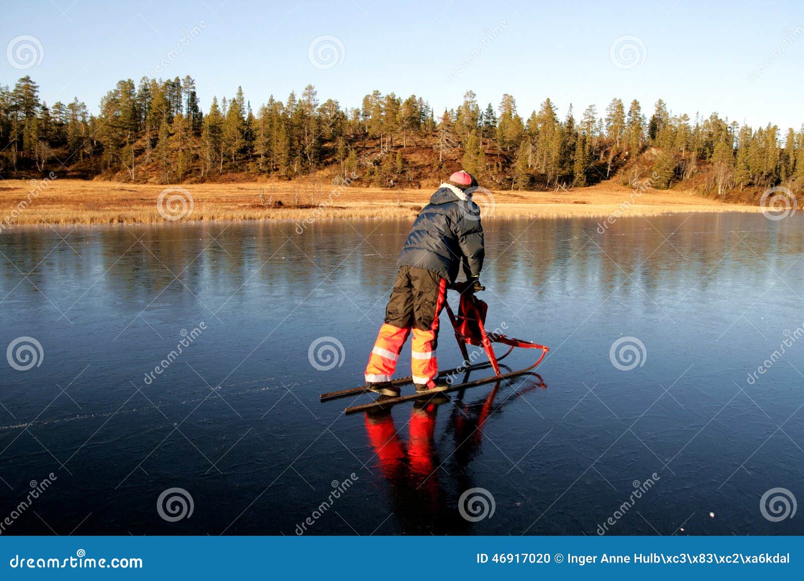 Man on kicksled stock photo. Image of bonfire, sled, race - 46917020