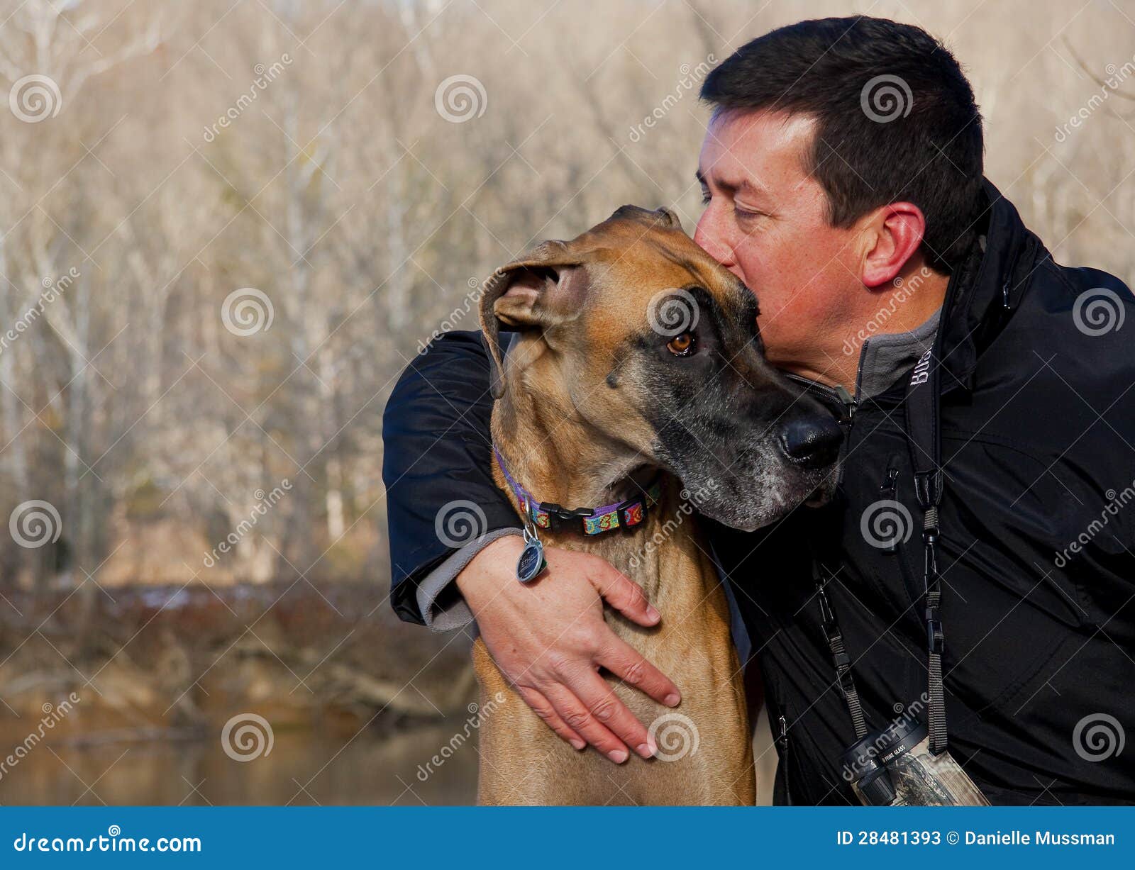Man Kissing His Dog Outdoors Stock Image - Image of pals, tenderness ...