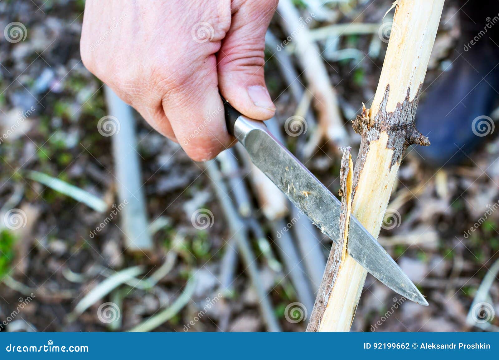 Man with Knife Cut a Wooden Stick Stock Photo - Image of blade, hunt ...