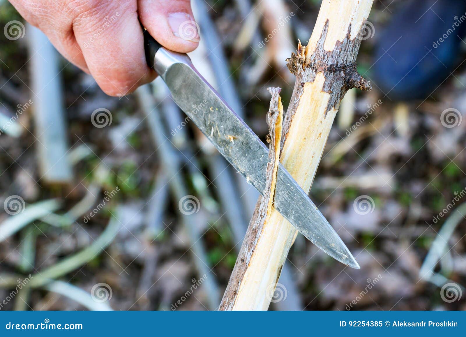 Man with Knife Cut a Wooden Stick Stock Image - Image of logger ...