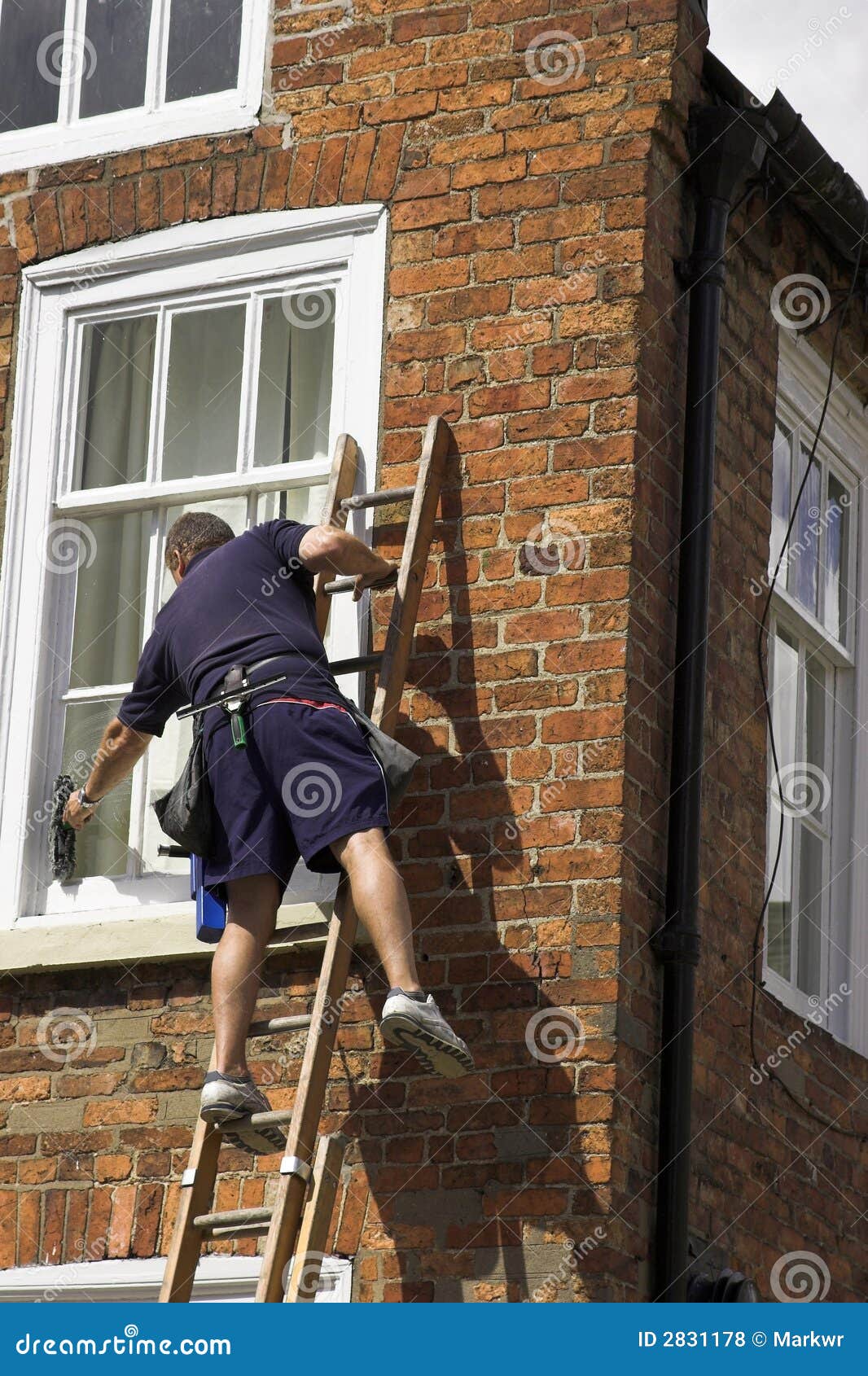 Man on a Ladder stock photo. Image of windows, fall, unsafe - 2831178