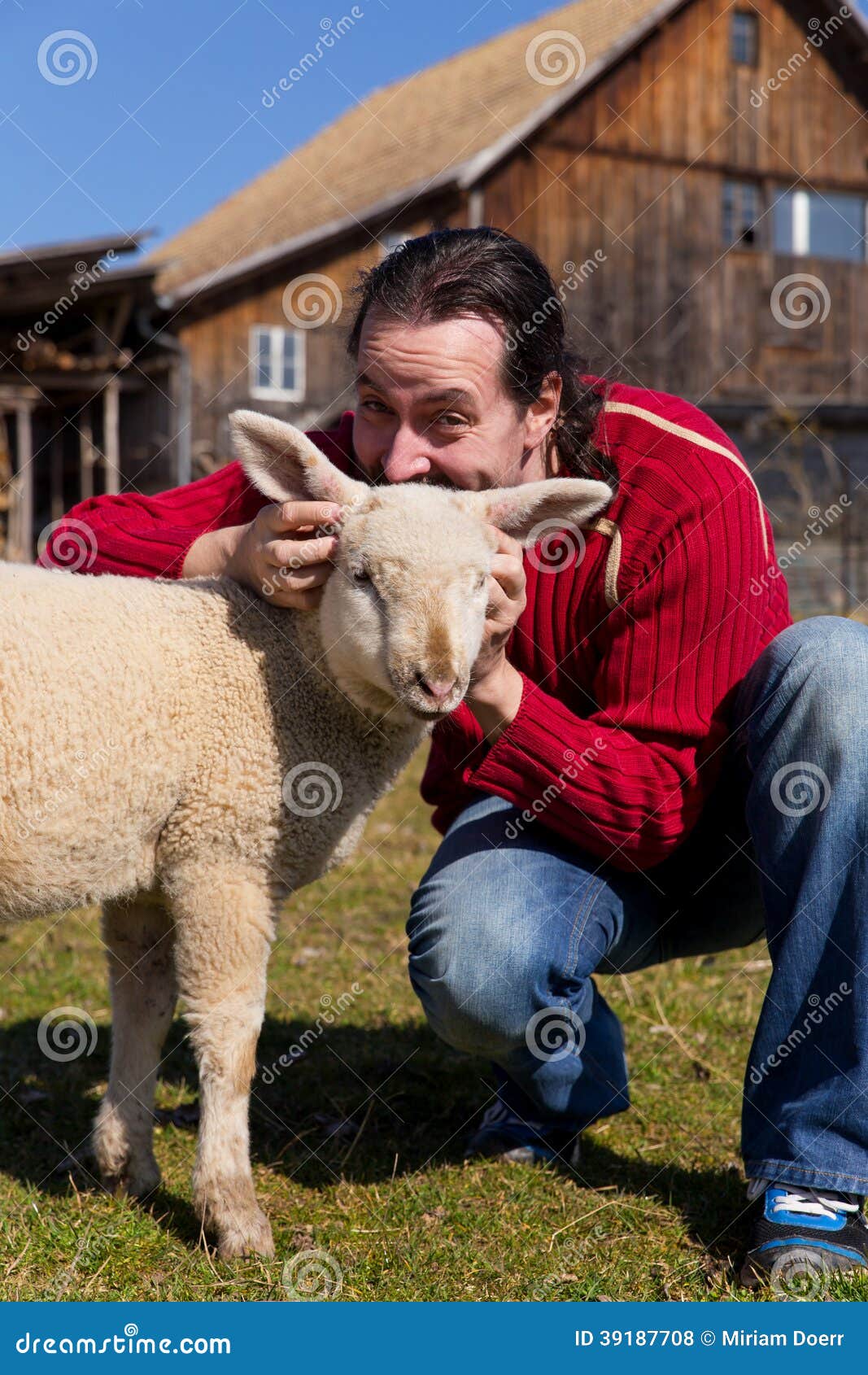 Man and Lamb and a Farmhouse Stock Photo - Image of adult, cheerful ...